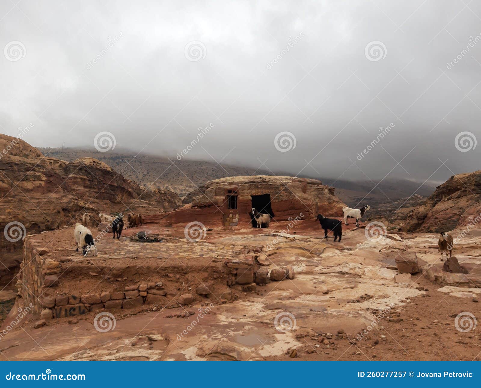 Petra Jordan Wadi Musa stock image. Image of plateau - 260277257