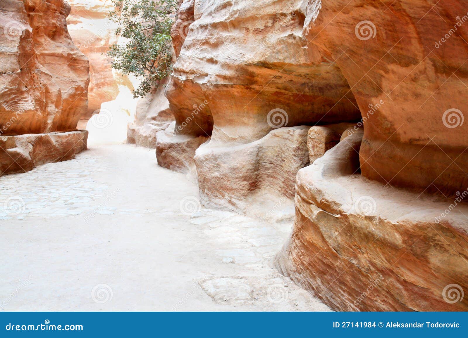 Petra - Siq with Water System Detail. Stock Photo - Image of caves ...
