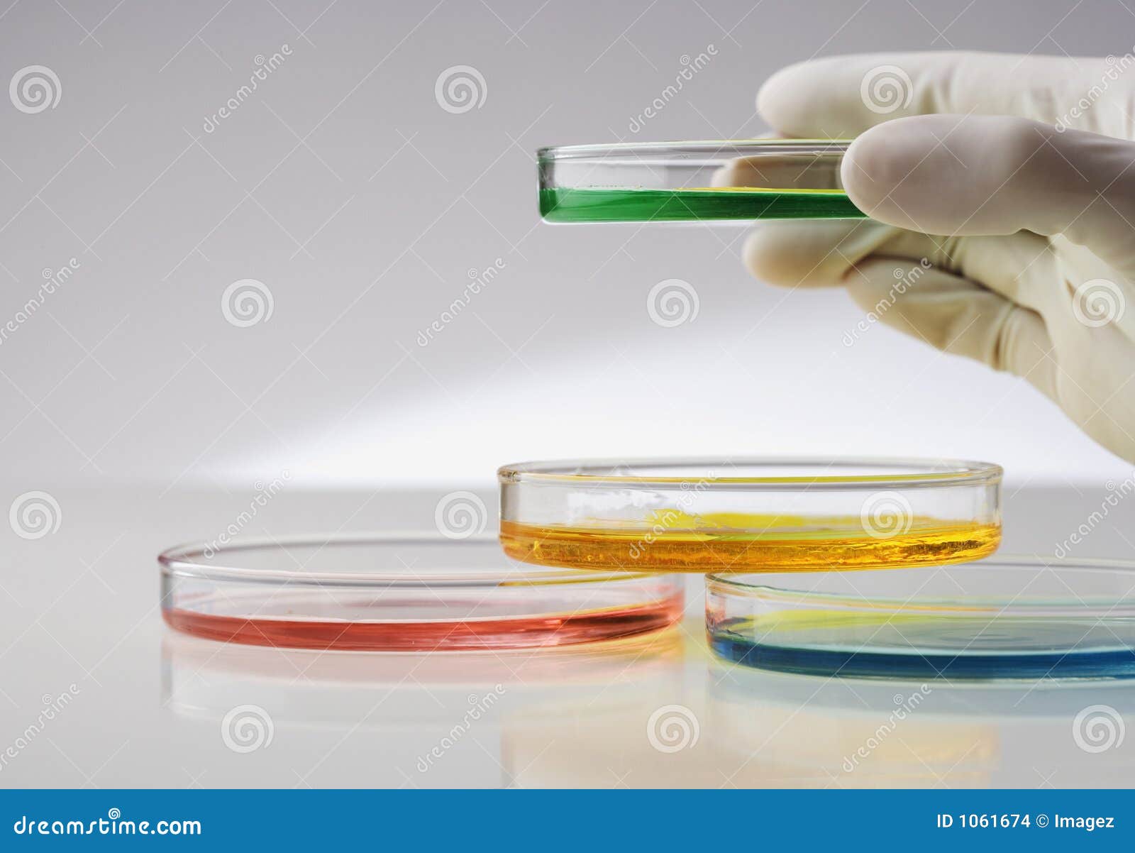 Petri dish stock photo. Image of liquid, equipment, scientific - 1061674