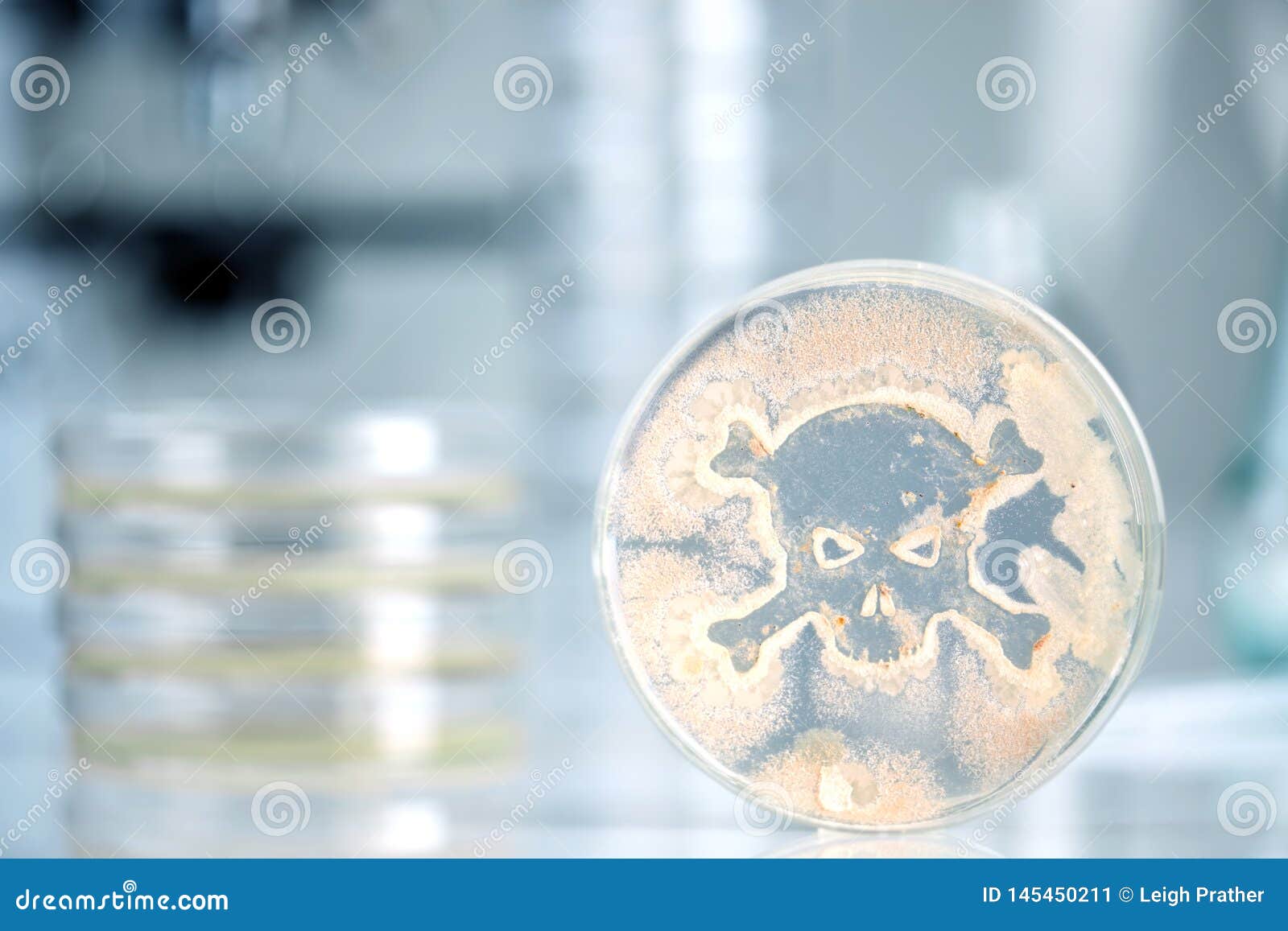 Petri Dish with Bacteria in the Shape of a Skull and Crossbones Stock ...