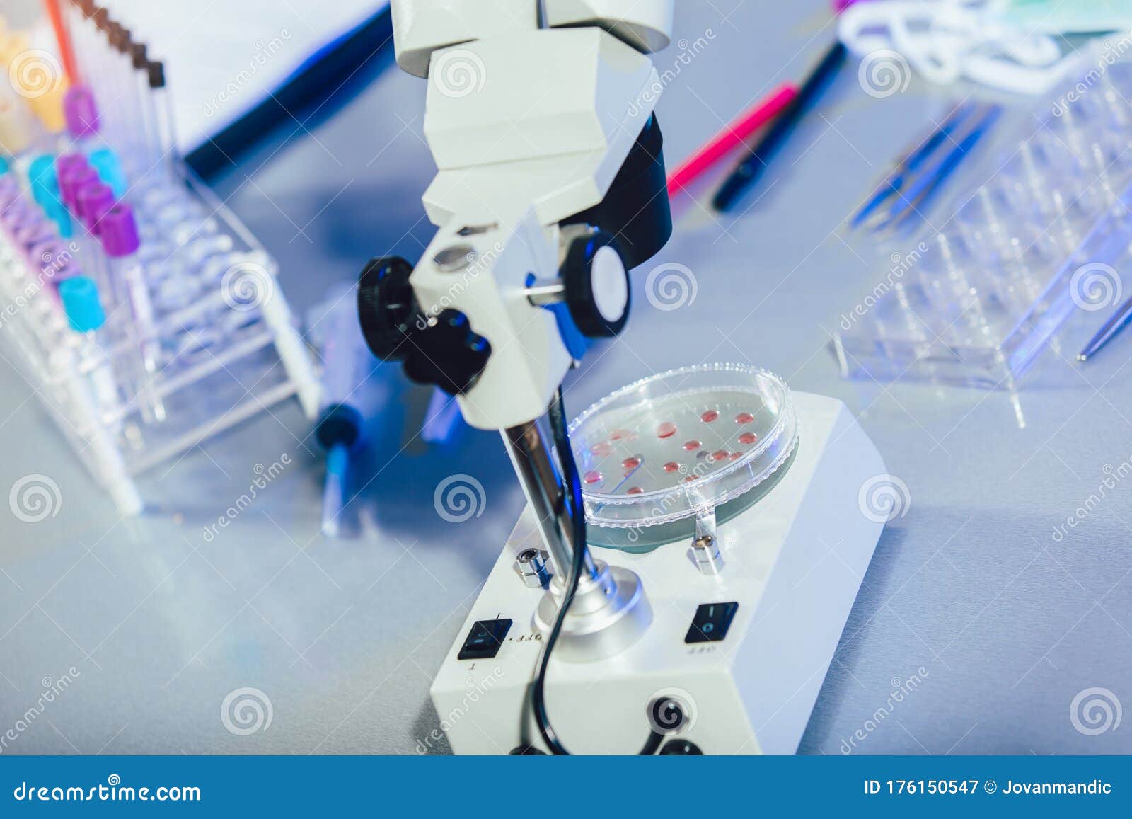 Petri Dish with Blood Sample Under the Light of the Laboratory ...