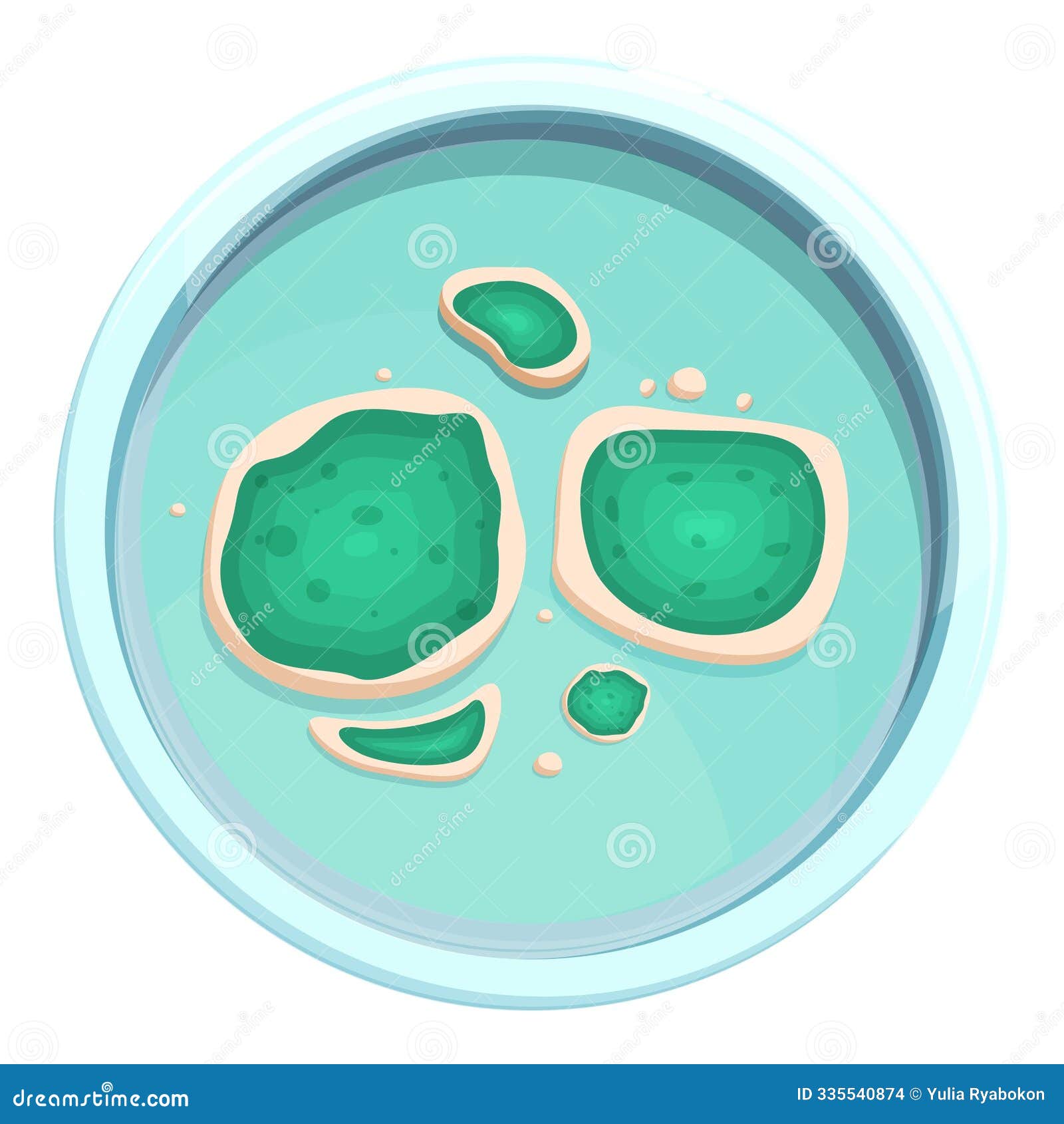 Cartoon Petri Dish Illustration With Bacterial Culture | CartoonDealer ...