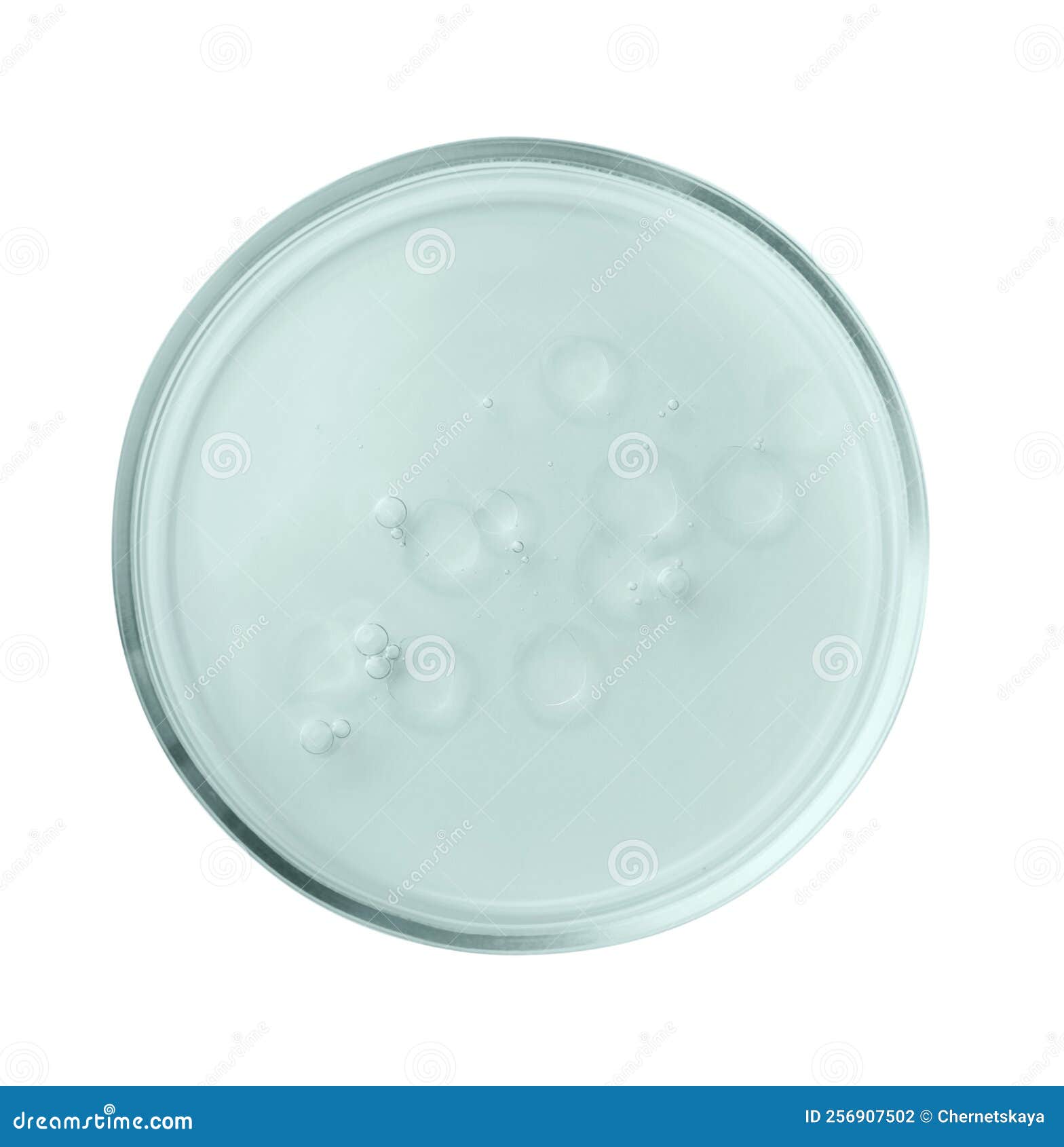 Petri Dish with Color Liquid Isolated on White, Top View Stock Photo ...