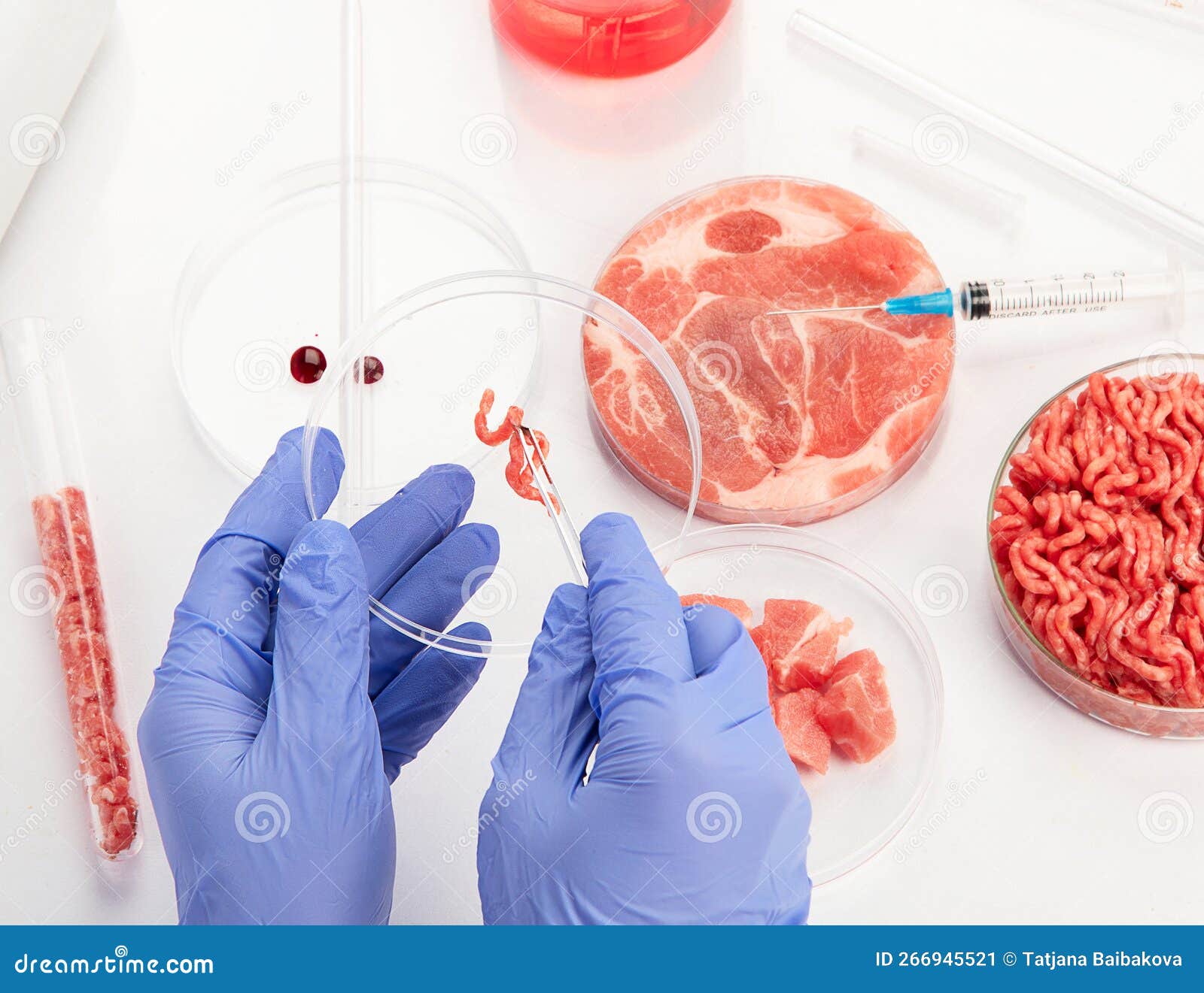 Petri Dish with Cultured Meat in Laboratory Stock Image - Image of meat ...