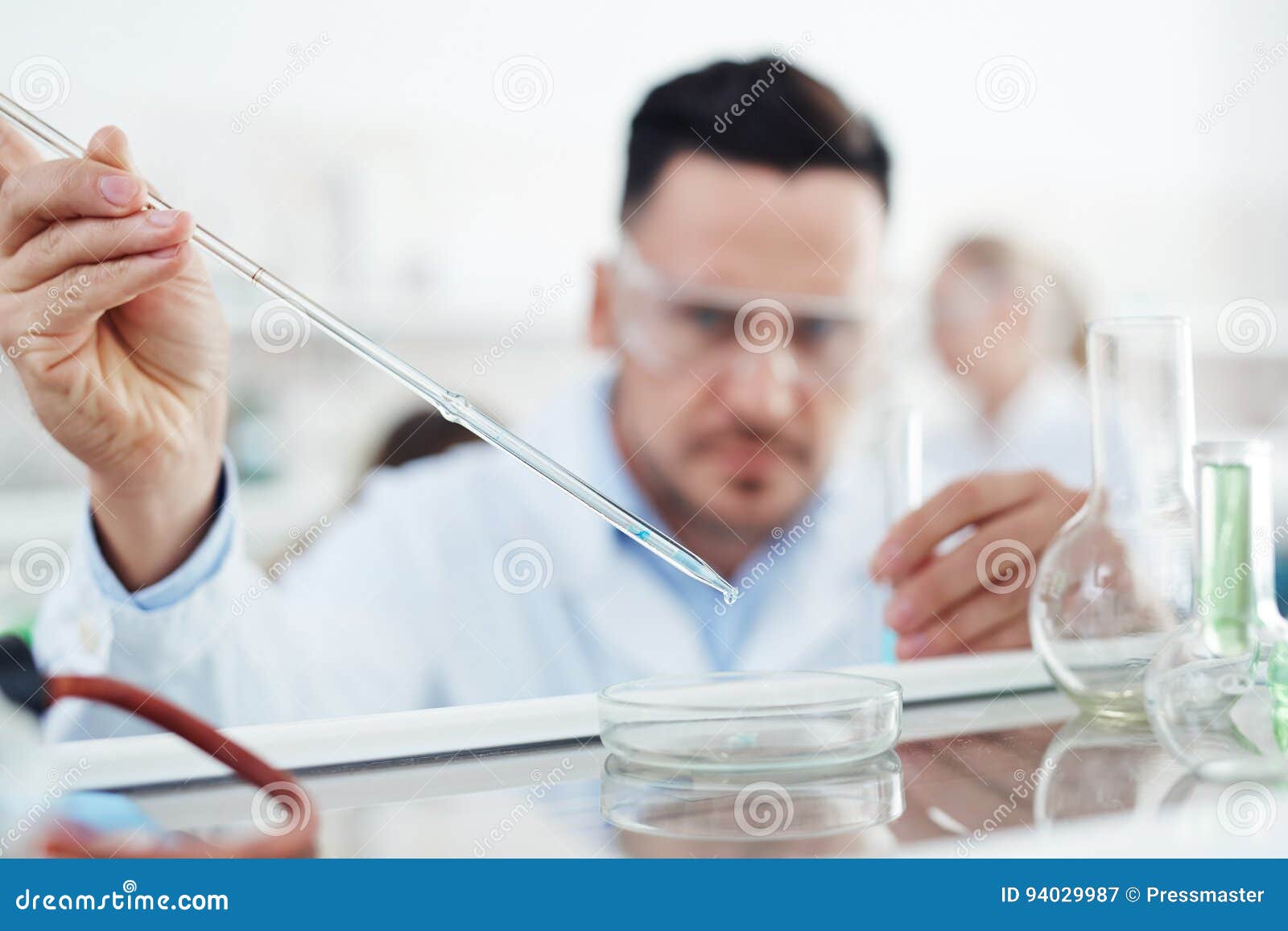 Petri Dish Experiment in Laboratory Stock Image - Image of chemist ...