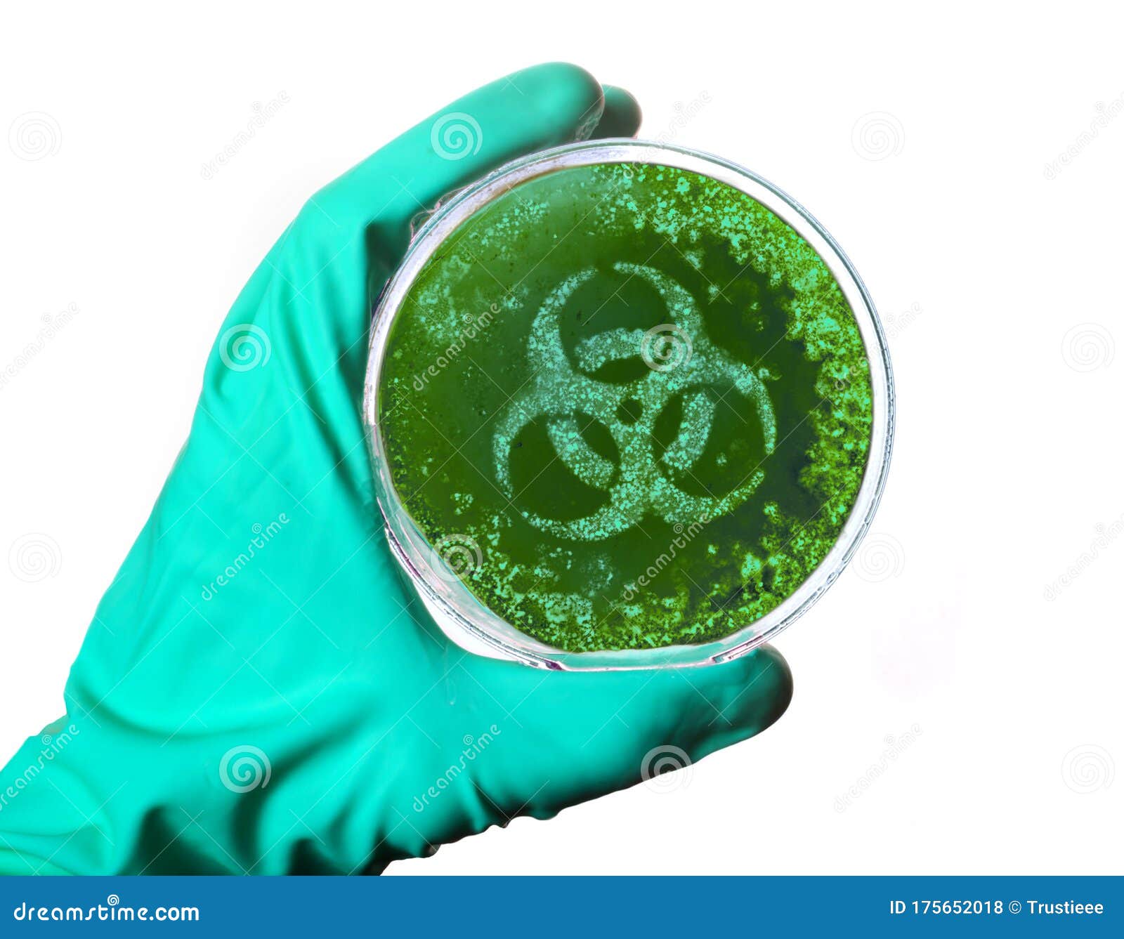 A Petri Dish with Germs in the Shape of the Biohazard Symbolseries ...