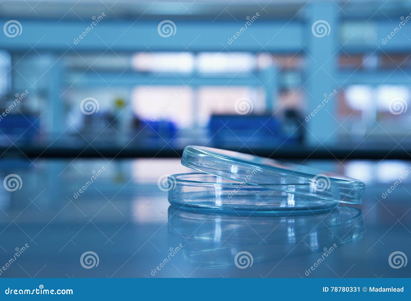 Petri Dish or Glass Plate in Science Lab Stock Image - Image of medical ...