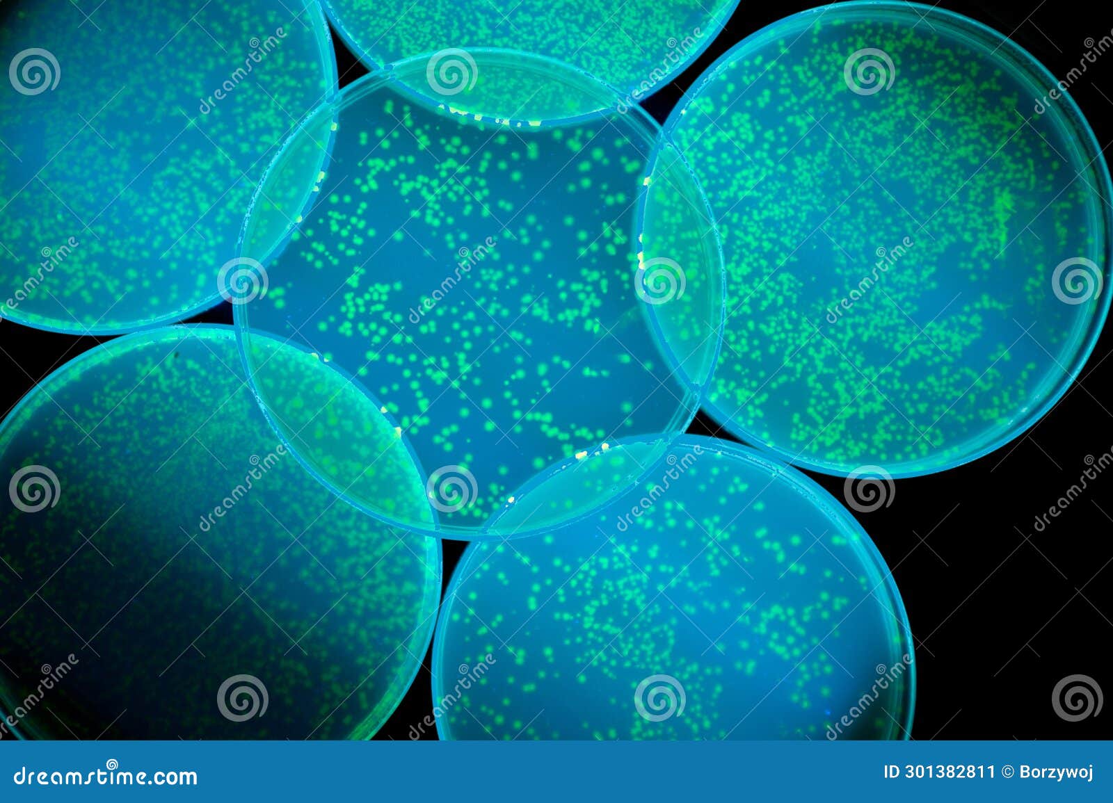 Fluorescent Bacteria Background Royalty-Free Stock Photography ...