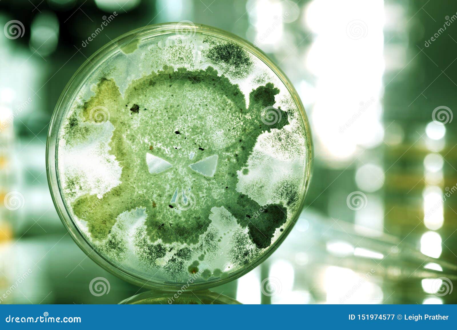 Skull With Bacteria Colored Icon. Bones Of The Head, Cranial Bacterial ...