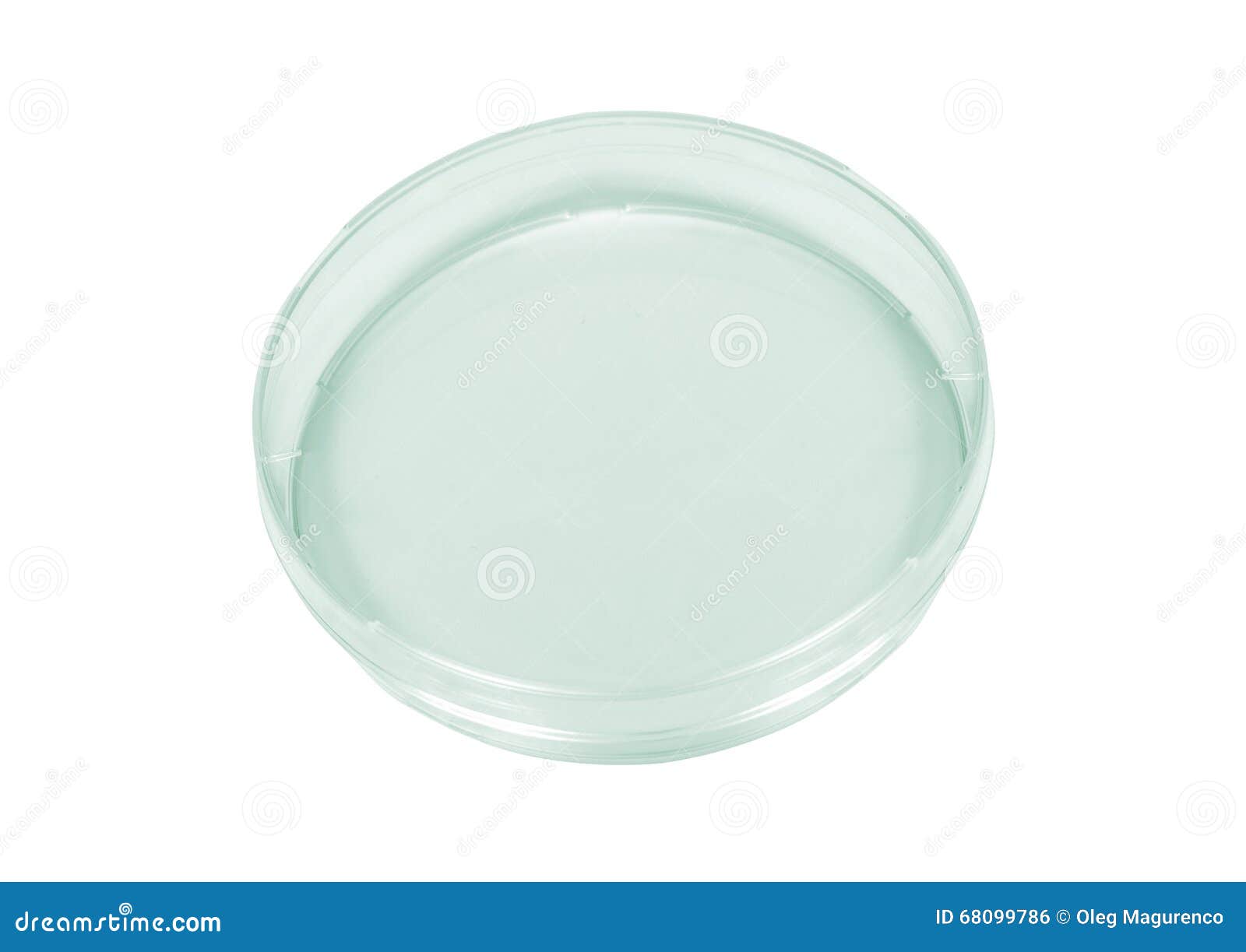 Petri dish stock photo. Image of chemistry, drug, instrument - 68099786