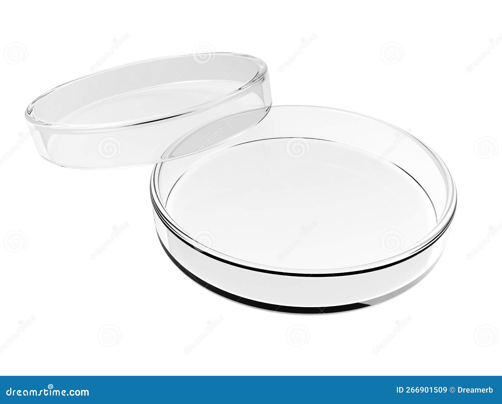 Petri Dish Isolated On White Background. Empty. Royalty-Free Cartoon ...