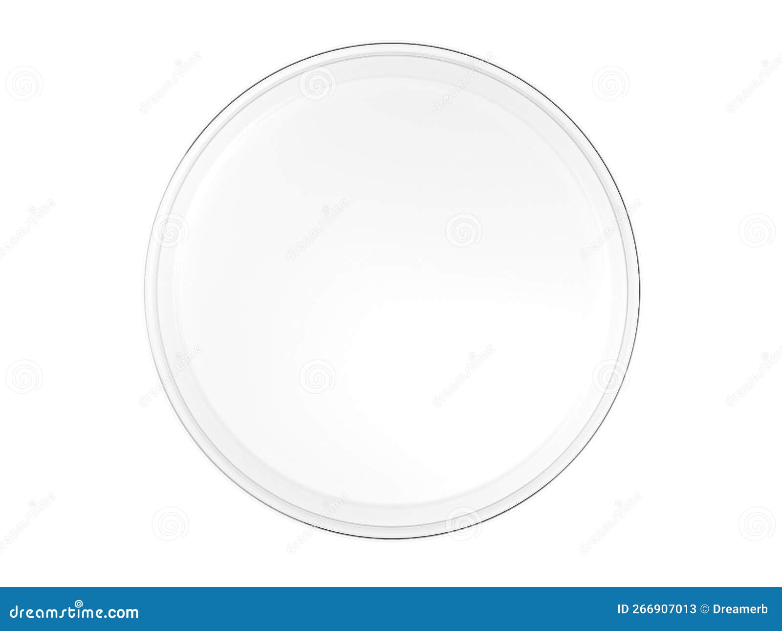 Petri Dish Isolated on White Background. Empty. Top View Stock ...