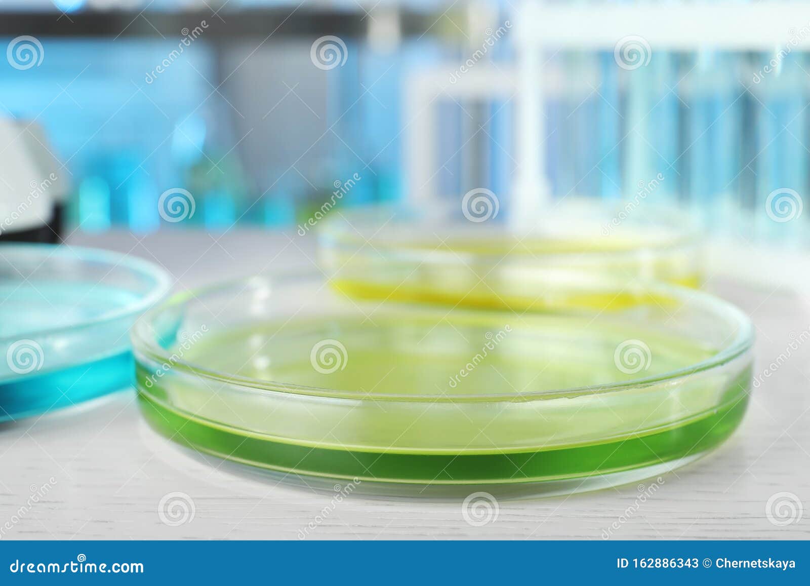 Petri Dish with Liquid on Table. Laboratory Analysis Stock Image ...