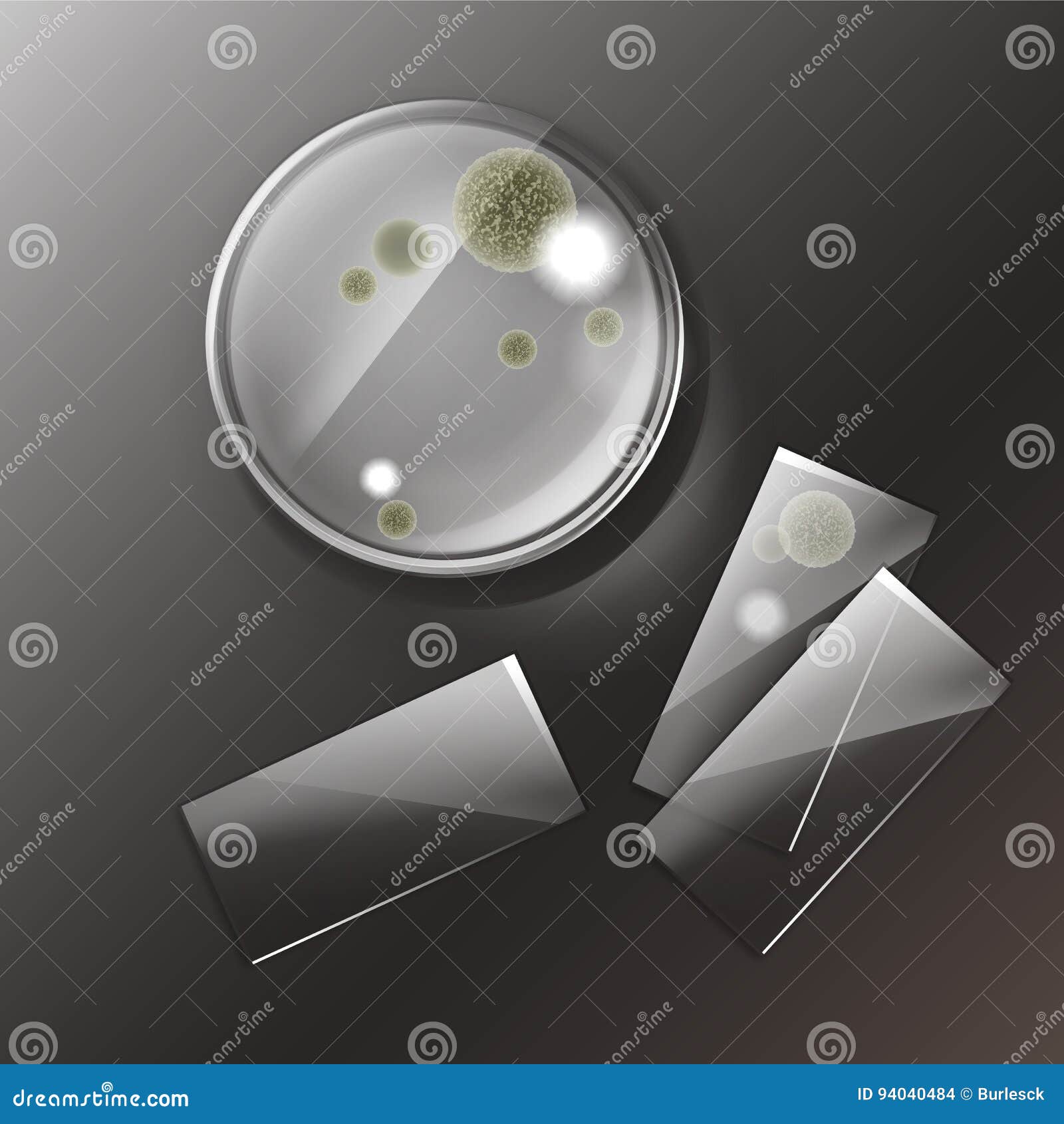 Set Petri Dish With Bacteria, Sulfur Dioxide SO2, Radioactive And ...