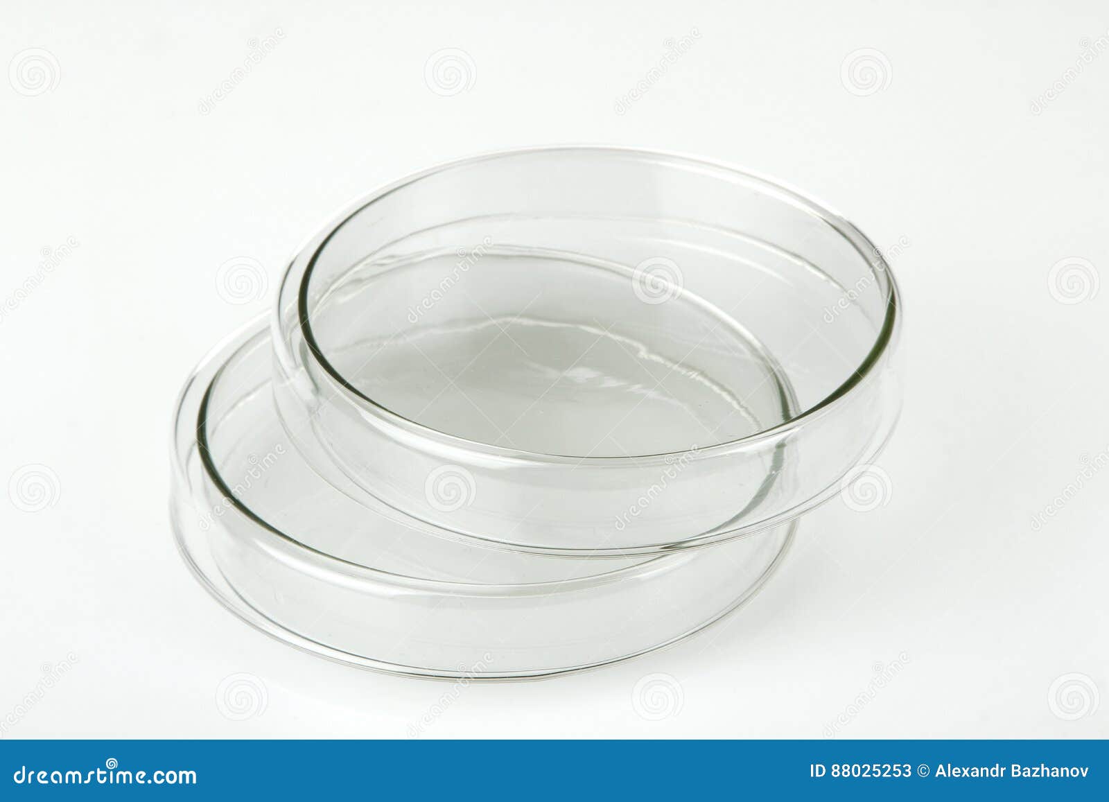 Petri dish stock image. Image of chemistry, experience - 88025253
