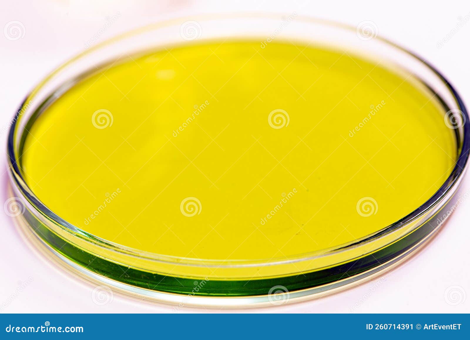 Petri Dish with Yellow Liquid Stock Image - Image of medical, organism ...