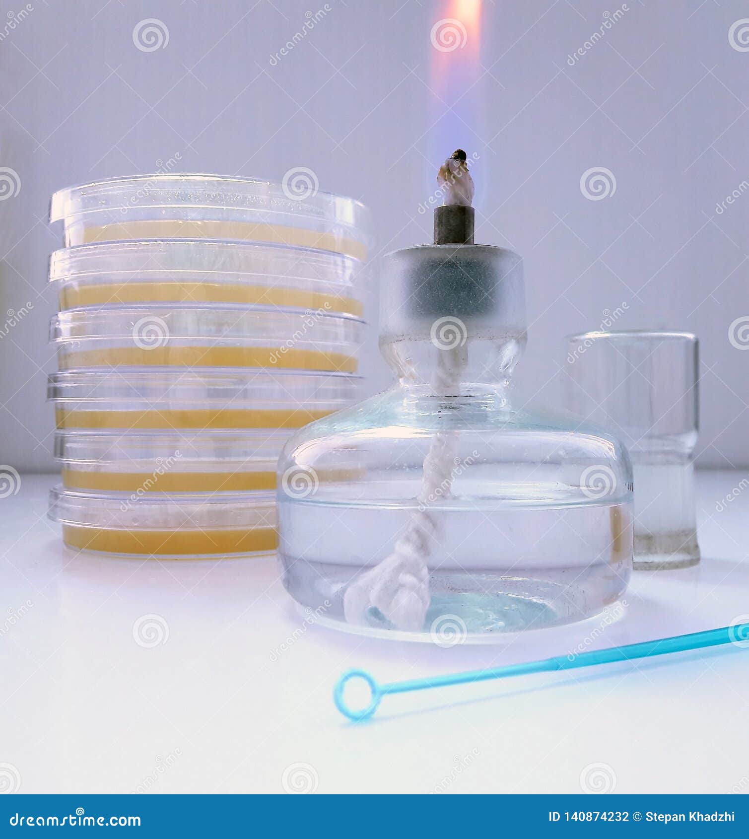 Petri Dishes in Bacteriological Laboratory Stock Photo - Image of ...