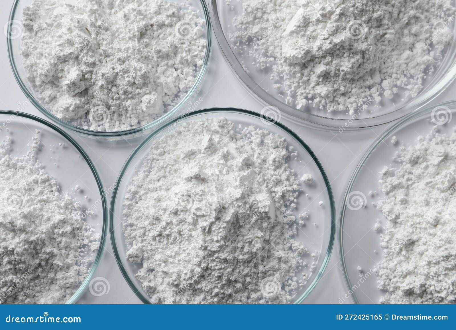 Petri Dishes with Calcium Carbonate Powder on White Table, Flat Lay ...