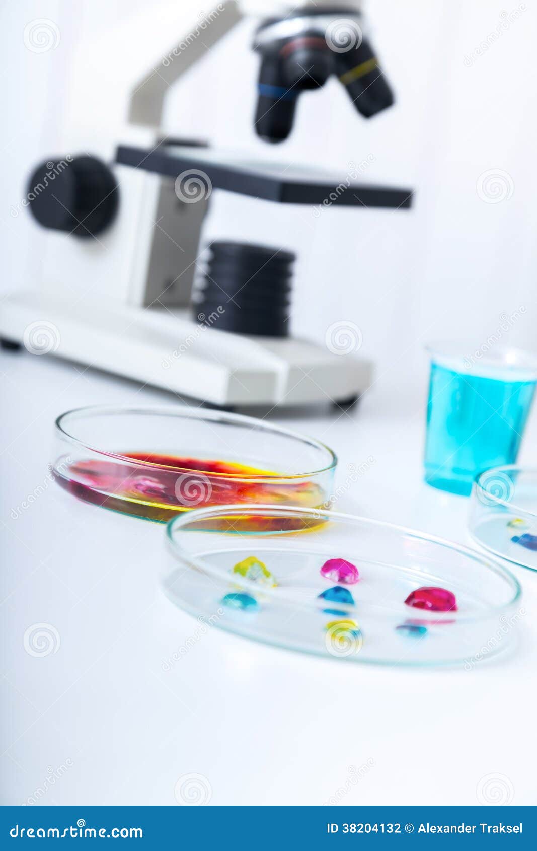 Petri Dishes and Laboratory Microscope Stock Photo - Image of culture ...
