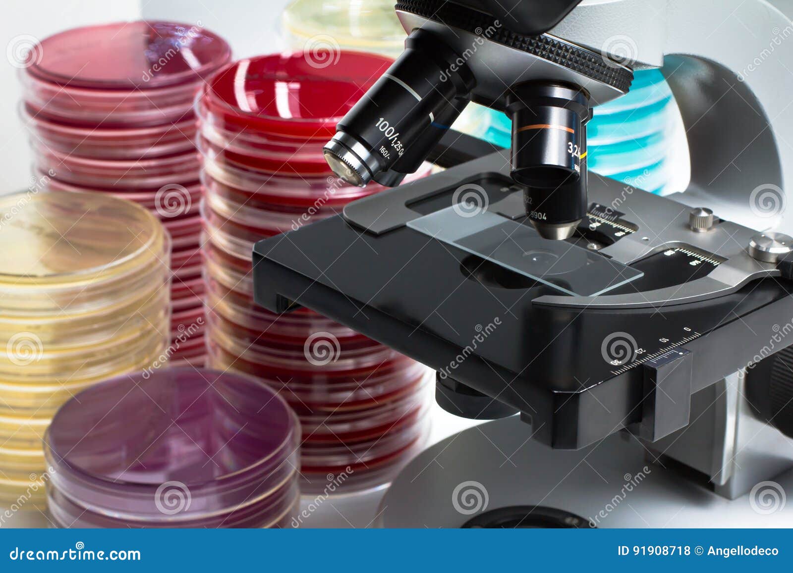 Petri Dishes Samples for Analysis in Microscope in the Laboratory Stock ...