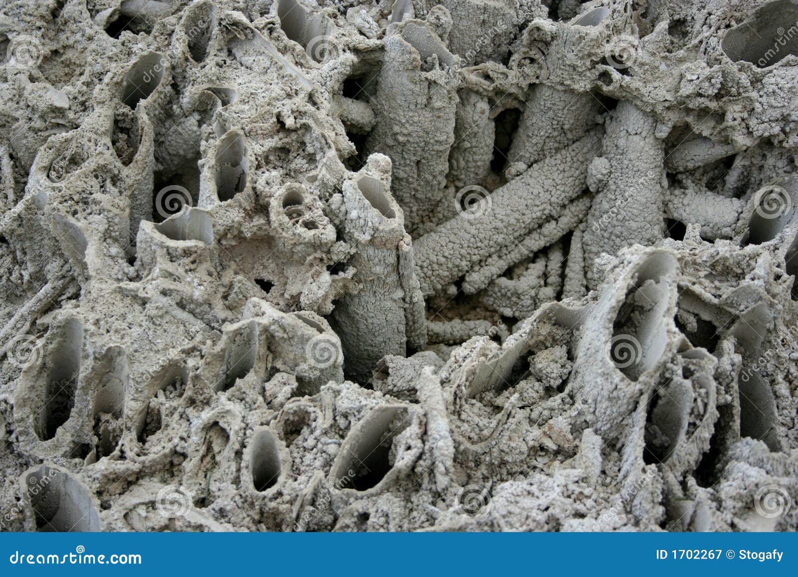 Petrifaction sconosciuto 2 immagine stock. Immagine di chiusura - 1702267