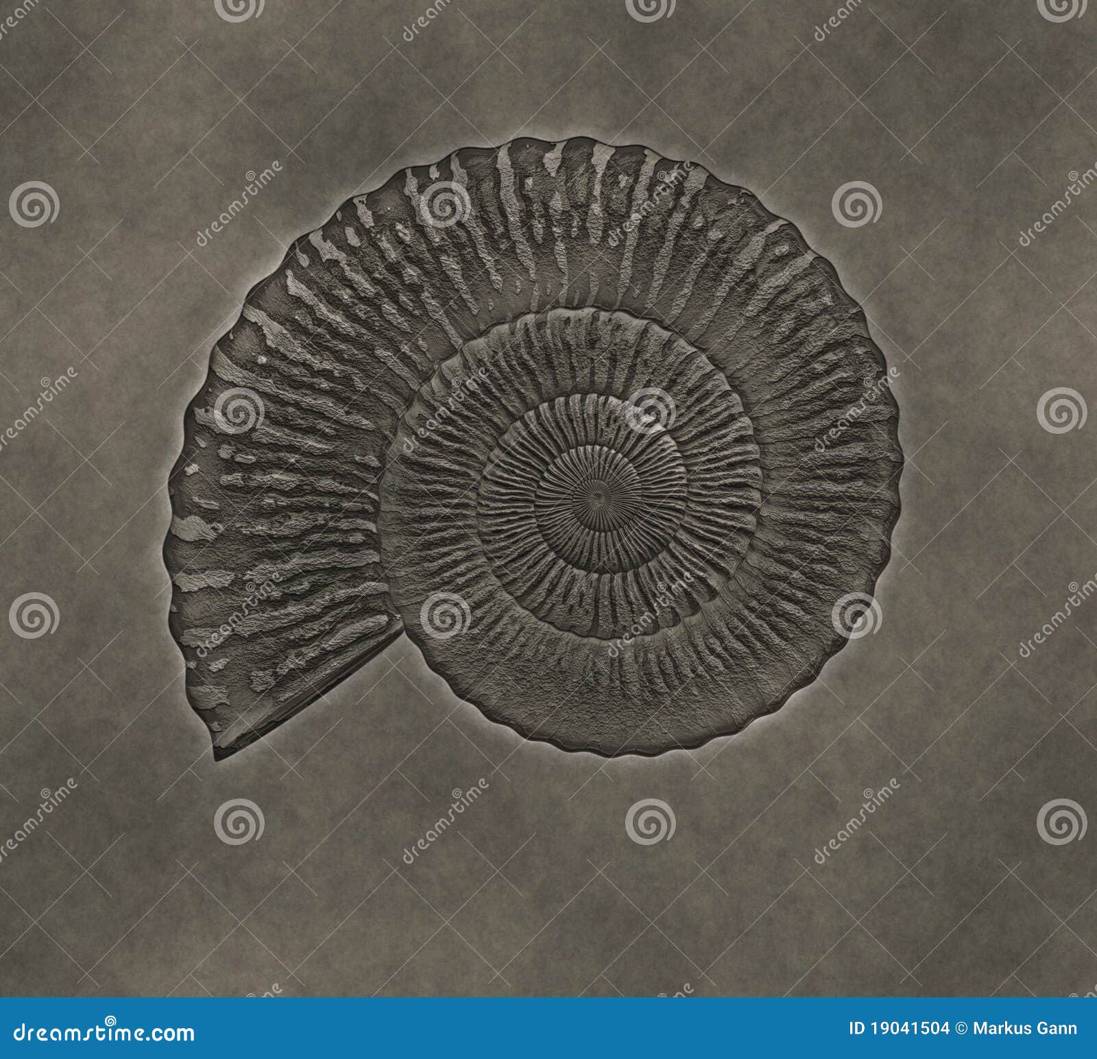 Petrification stock illustration. Illustration of circular - 19041504