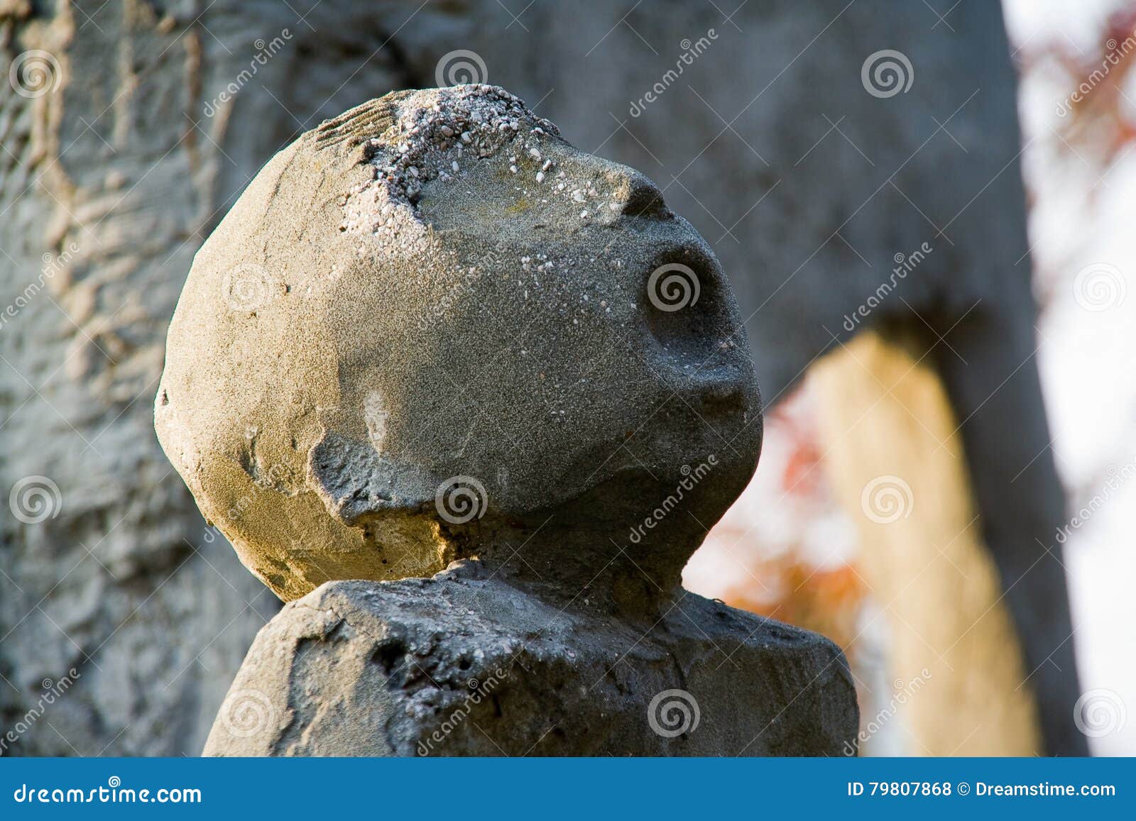 Petrified stock foto. Image of najaar, beeldhouwwerk - 79807868