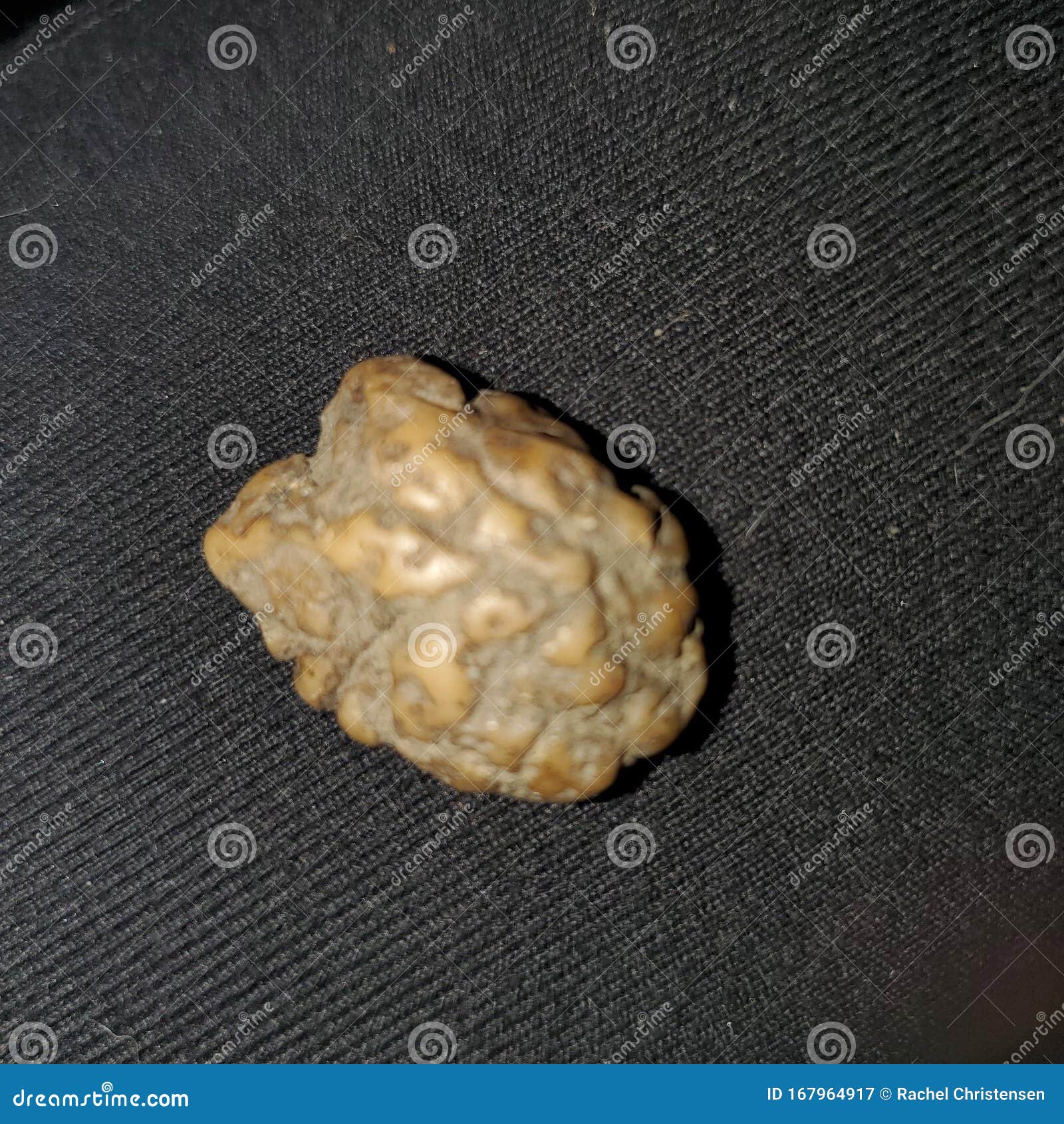 Petrified Brain Ancient Pagan Pagan Rock Ritual Stock Image - Image of ...