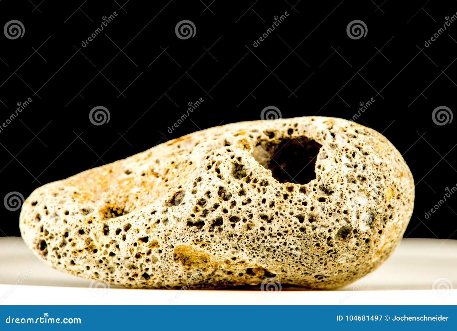 Petrified Coral Reef Structures Sediment Stone In The Kalbarri National ...