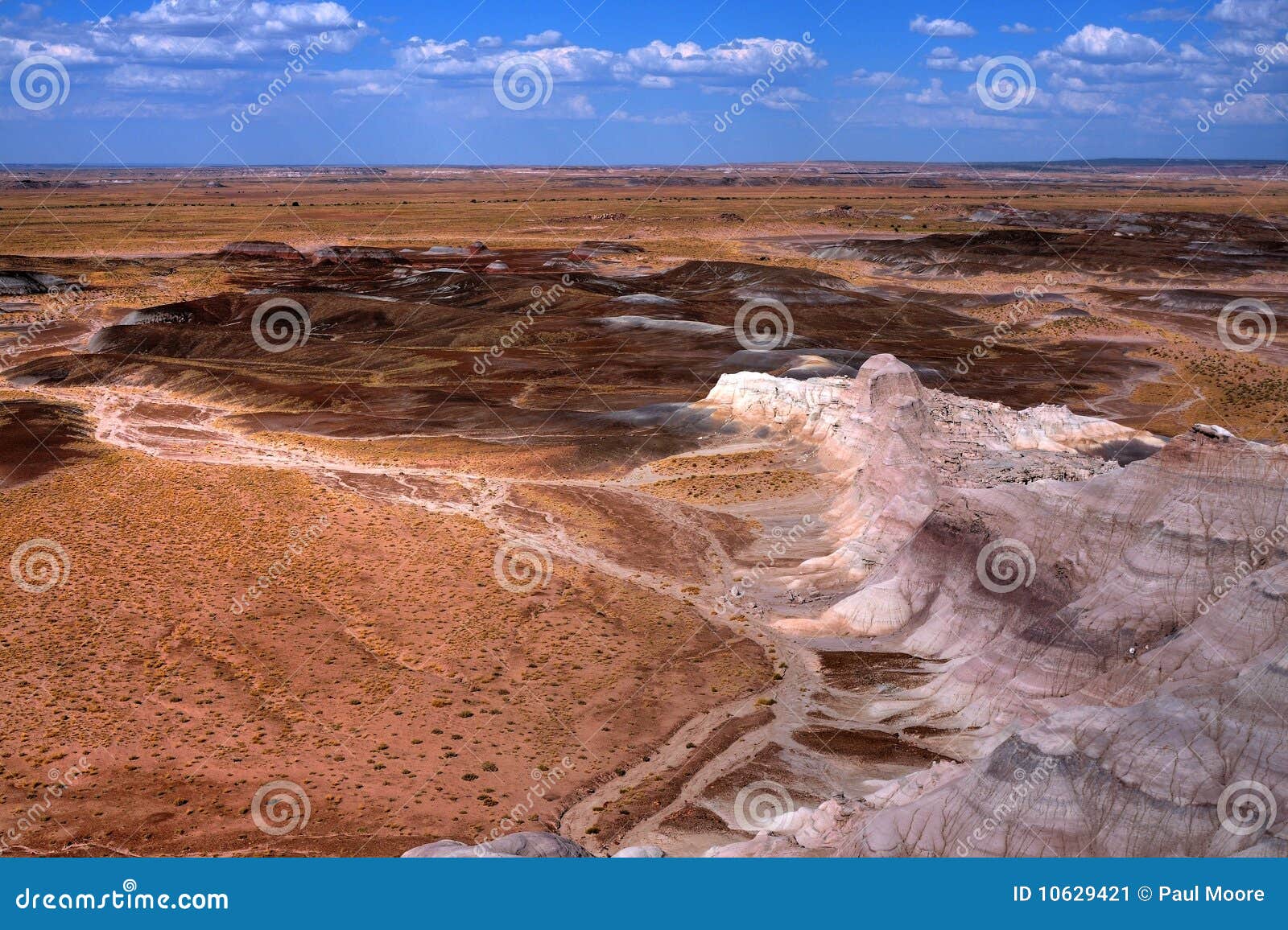 Petrified Forest stock image. Image of fossil, lake, jurassic - 10629421