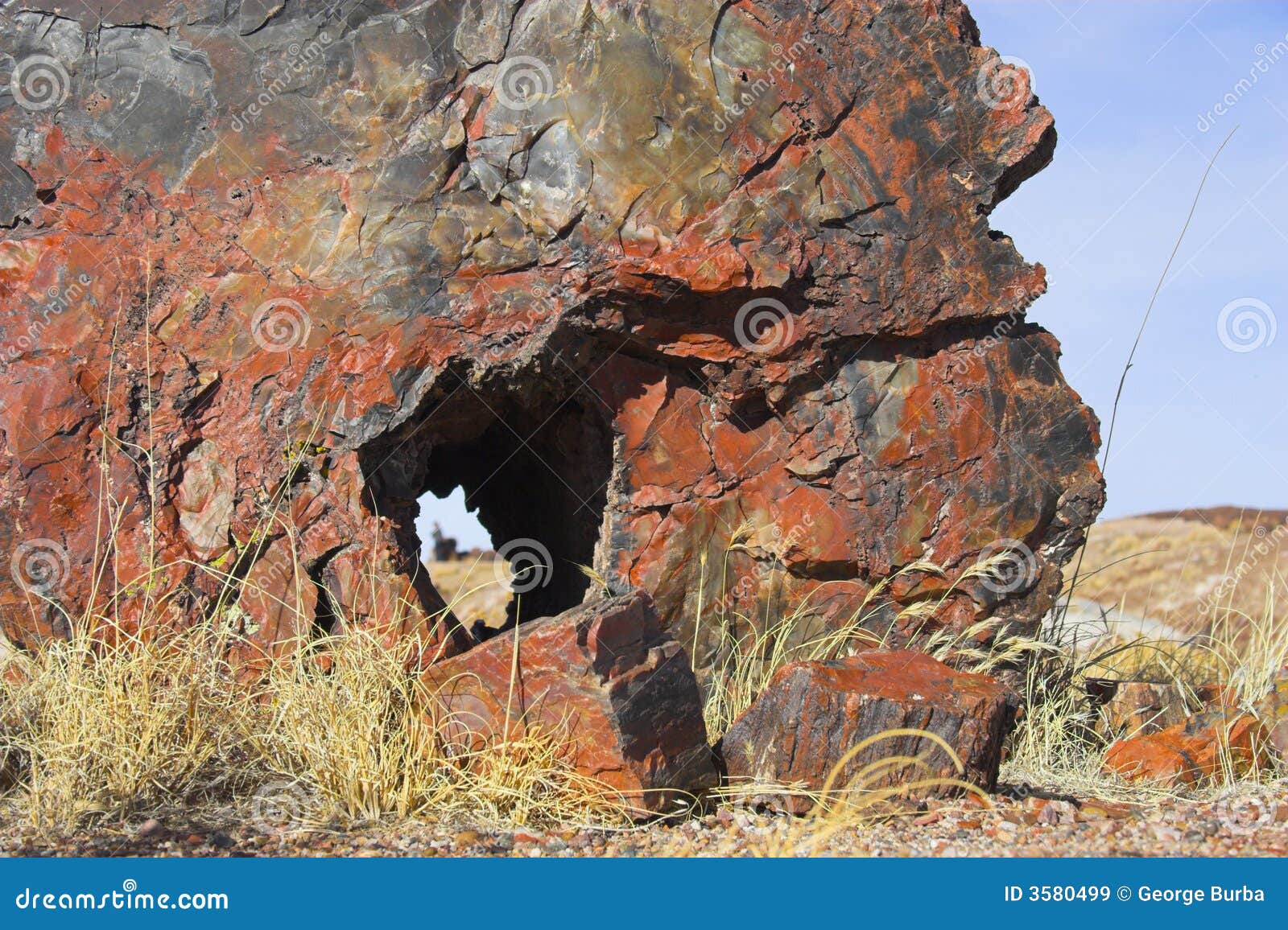 Petrified forest stock image. Image of geology, desert - 3580499