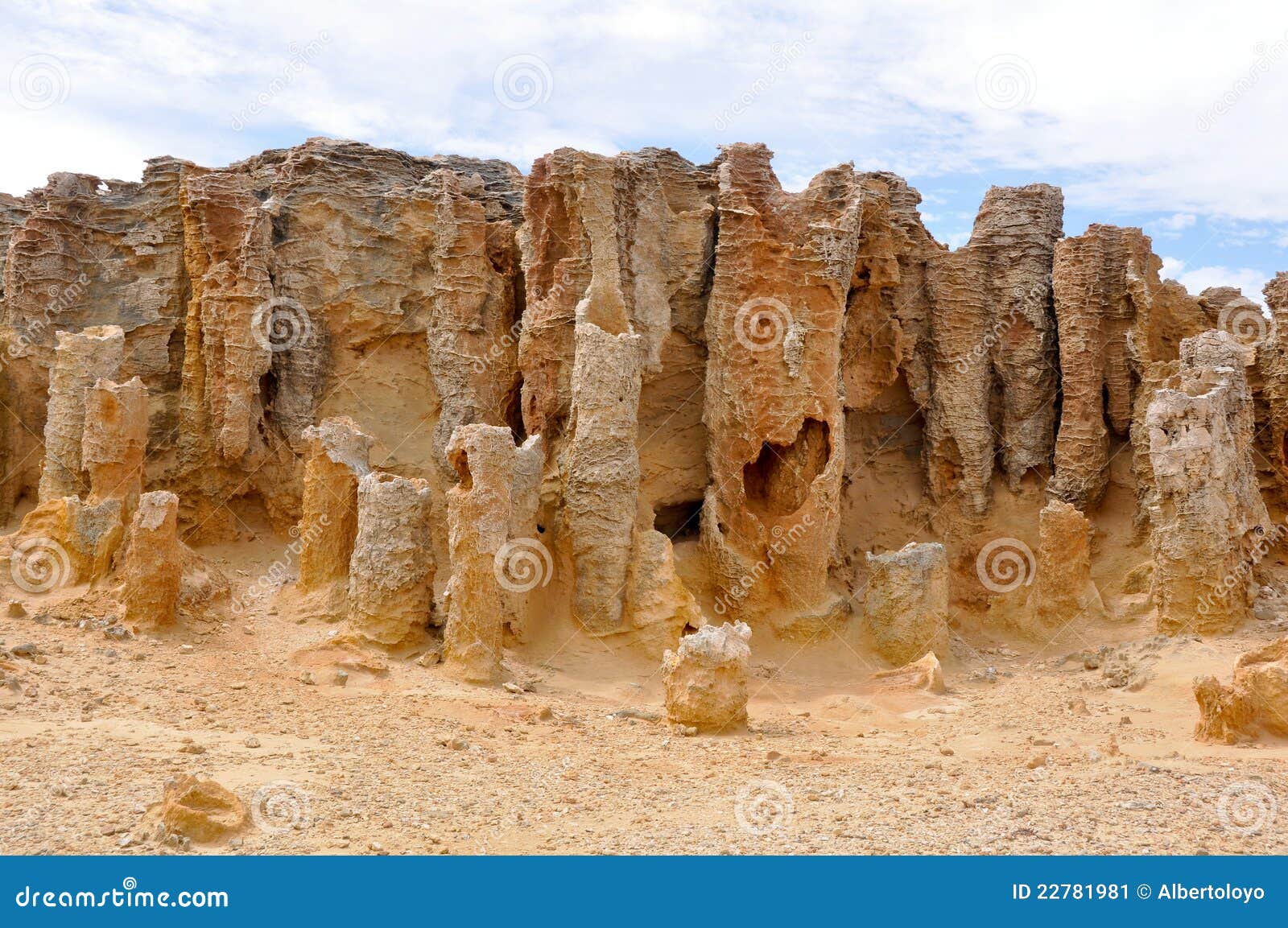 Petrified Forest, Cape Bridgewater, Australia Stock Image - Image of ...