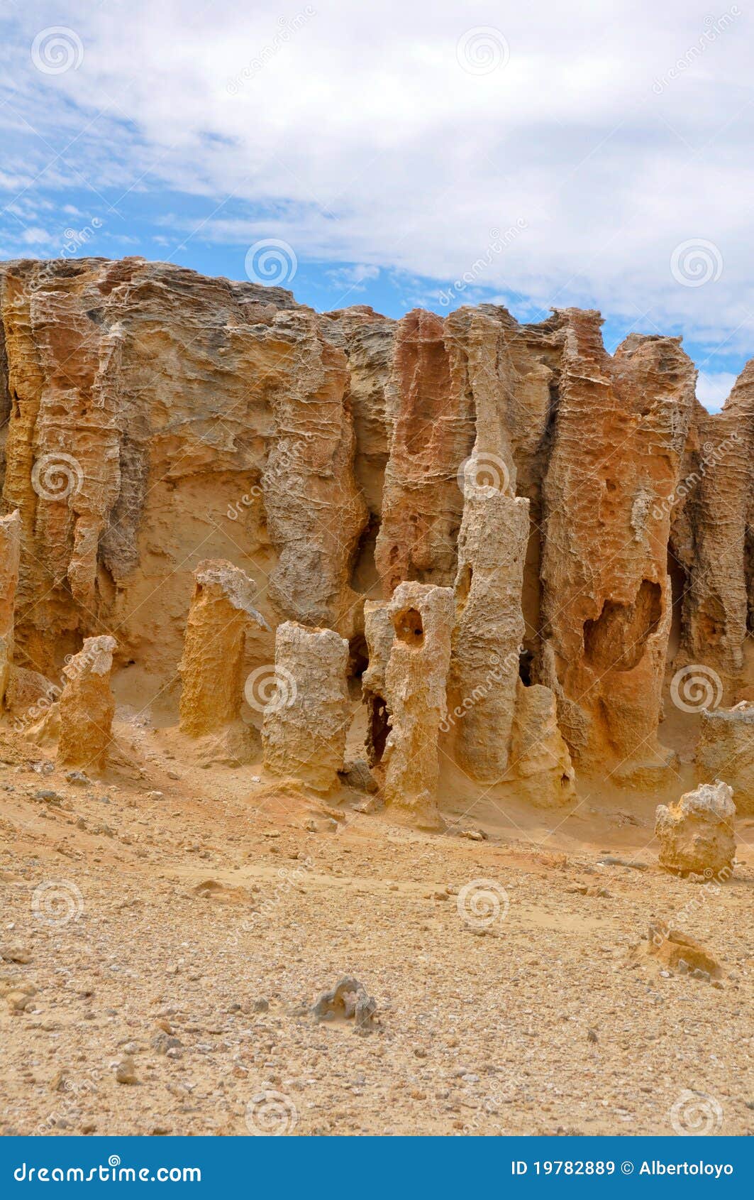 Petrified Forest, Cape Bridgewater, Victoria Stock Image - Image of ...