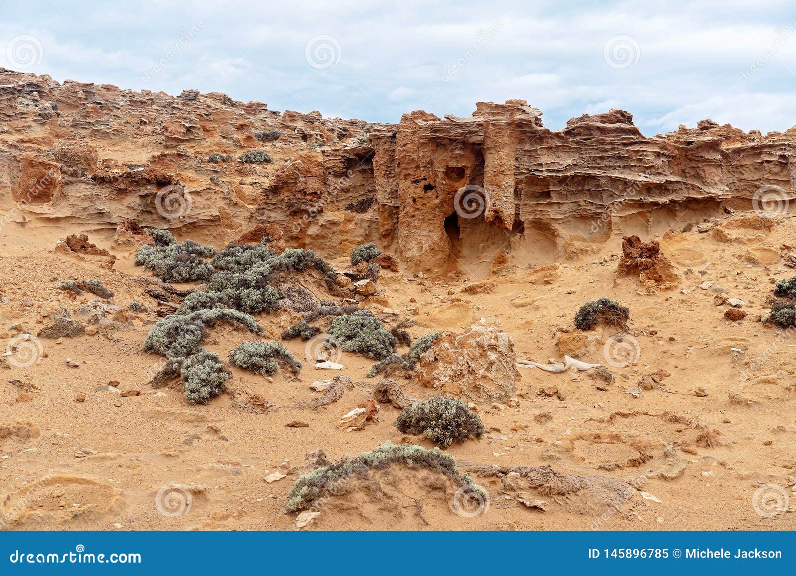 The Petrified Forest on the Coast of Victoria Australia Stock Image ...
