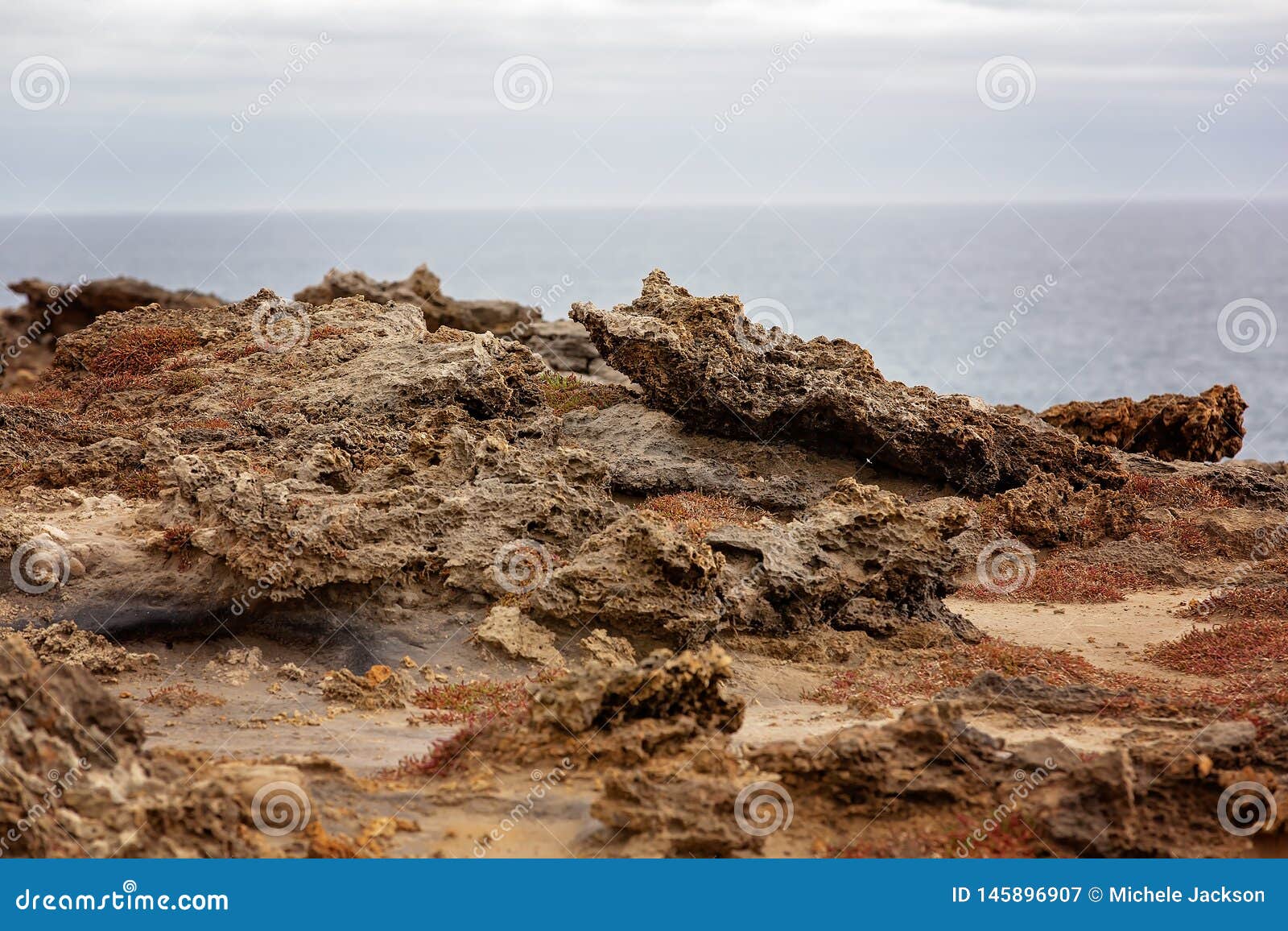 The Petrified Forest on the Coast of Victoria Australia Stock Image ...