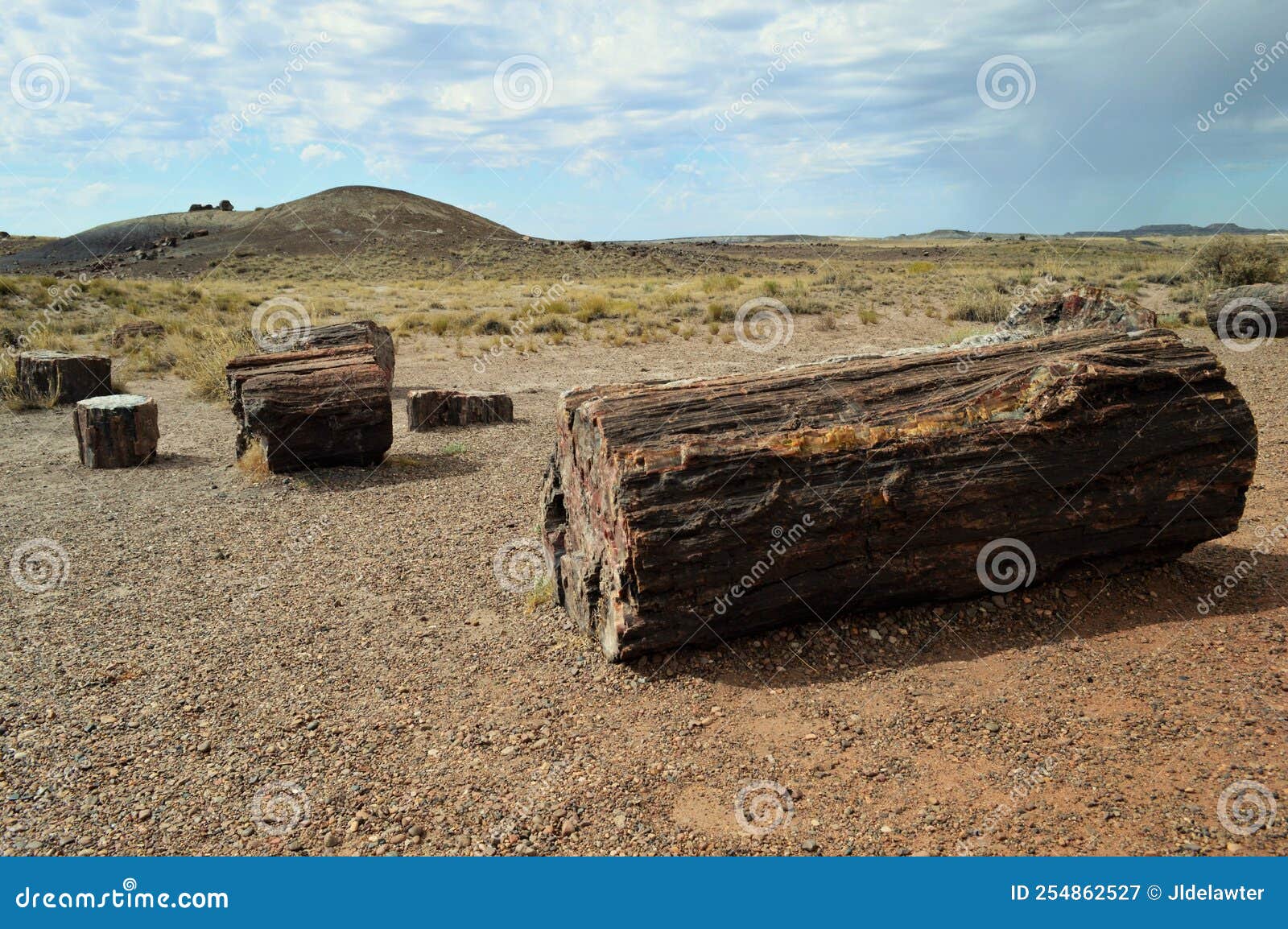 Petrified Forest stock image. Image of arizona, landscape - 254862527