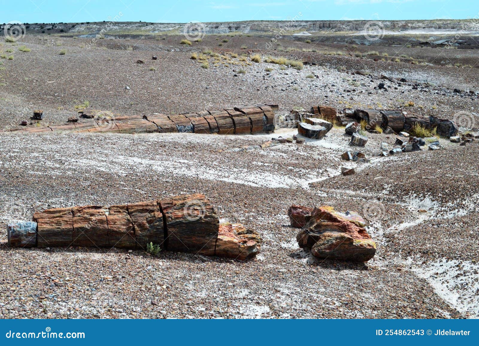Petrified Forest stock image. Image of petrified, fossil - 254862543