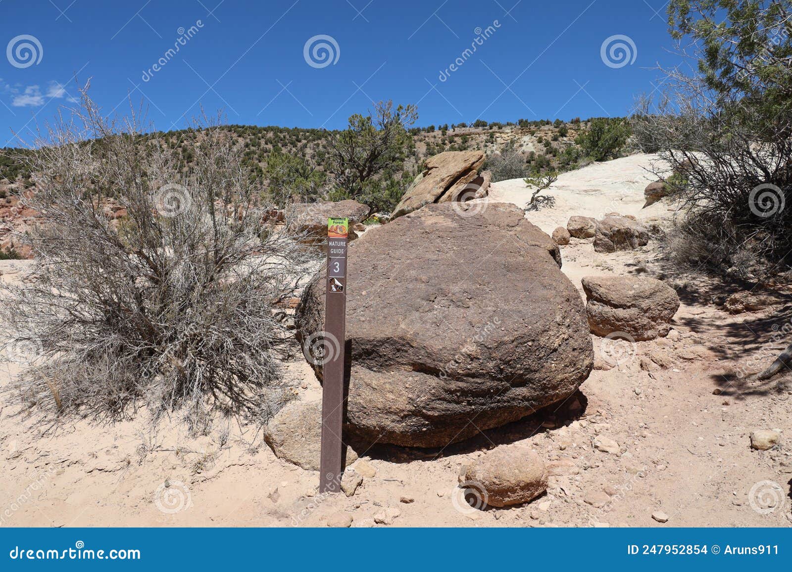 Petrified Forest State Park Utah Stock Photo - Image of petrified ...