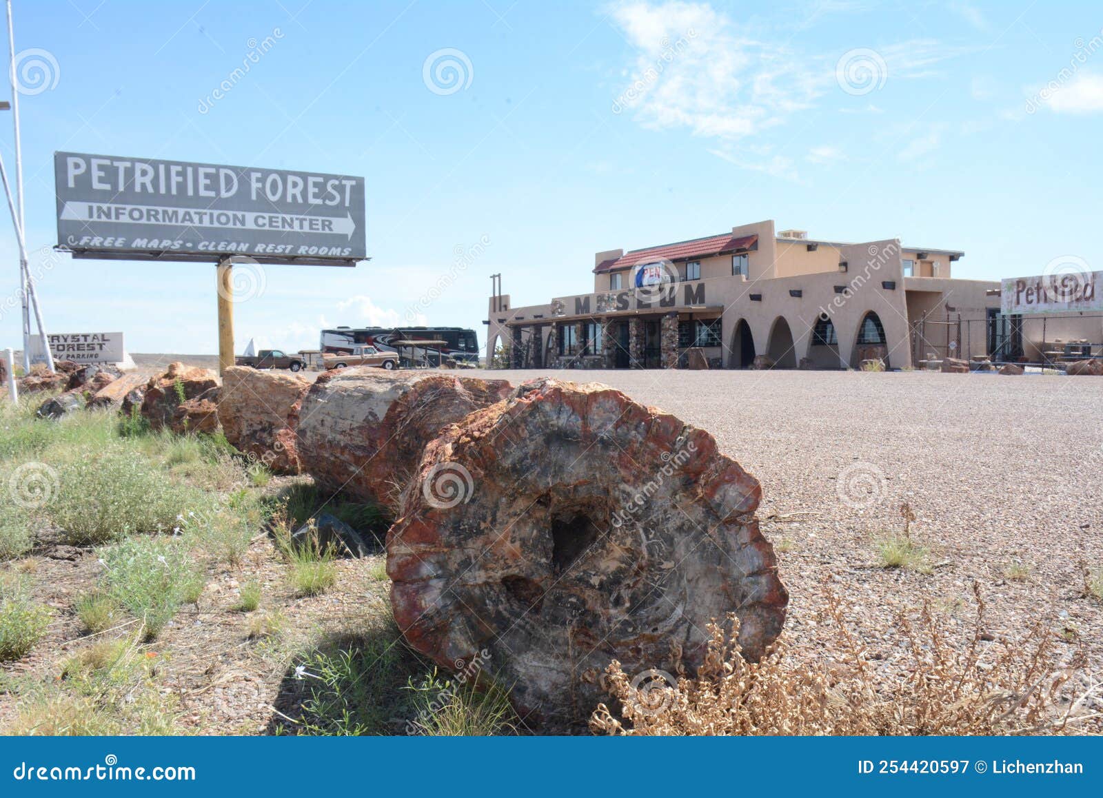 Petrified Log in Petrified Forest National Park Editorial Photography ...