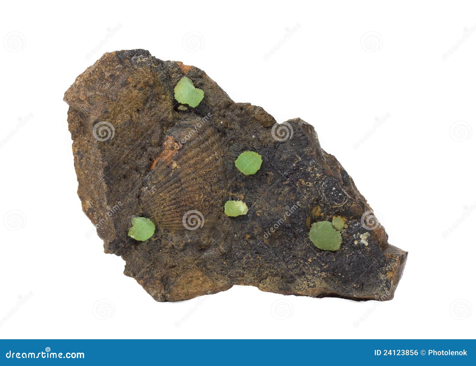 Petrified Shell and Green Crystals into the Stone Stock Photo - Image ...