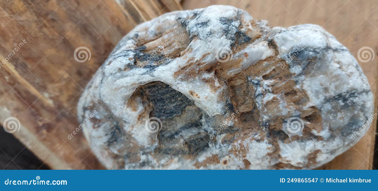 Petrified skull 2 stock image. Image of iron, food, geology - 249865547