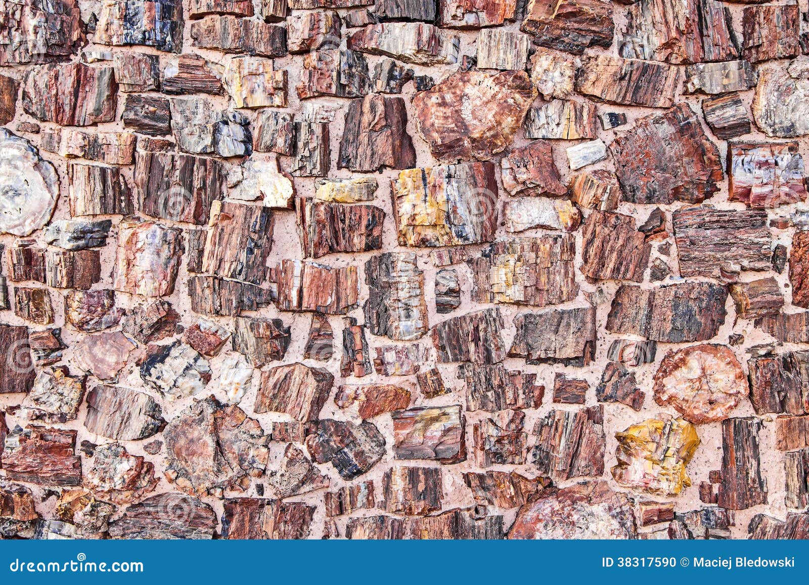 Petrified Tree Texture Looking Like Stones. Stock Photo - Image of ...