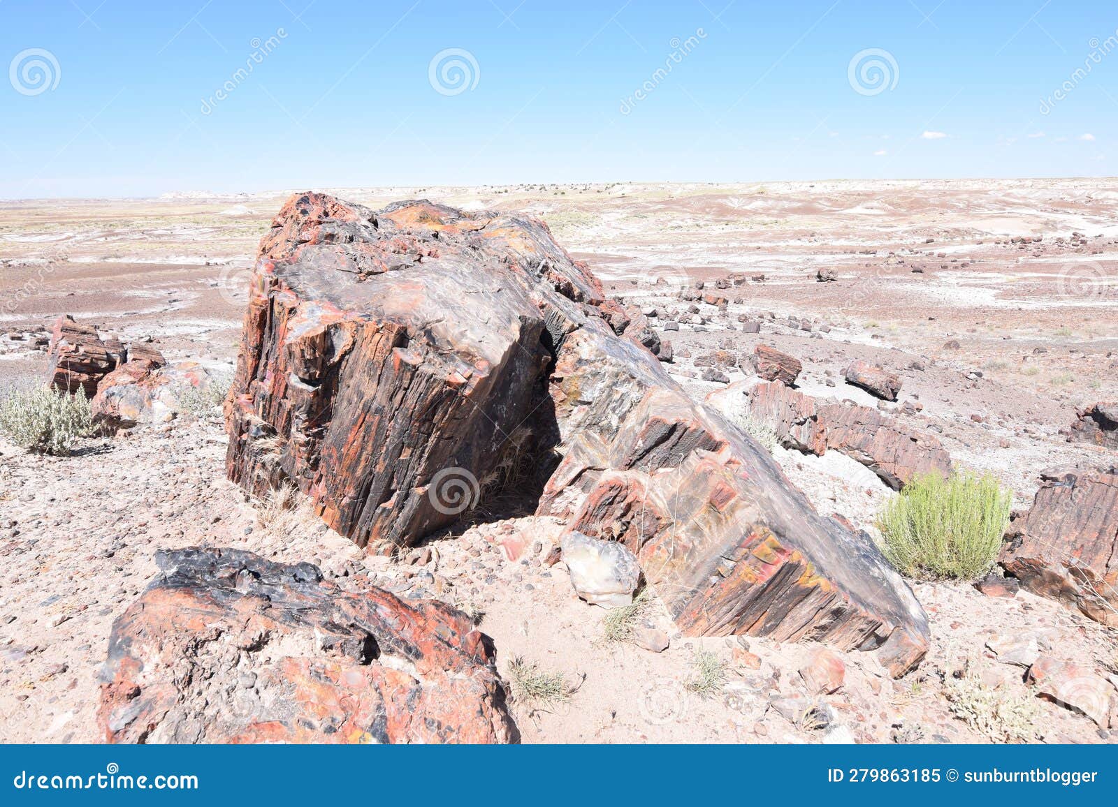 Petrified Wood, Petrified Forest Arizona Stock Image - Image of forest ...
