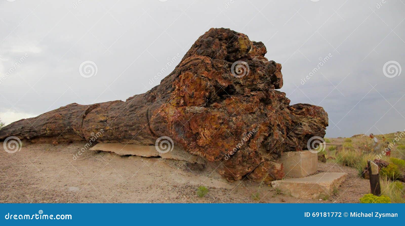 Petrified Wood stock photo. Image of park, mineral, prehistoric - 69181772