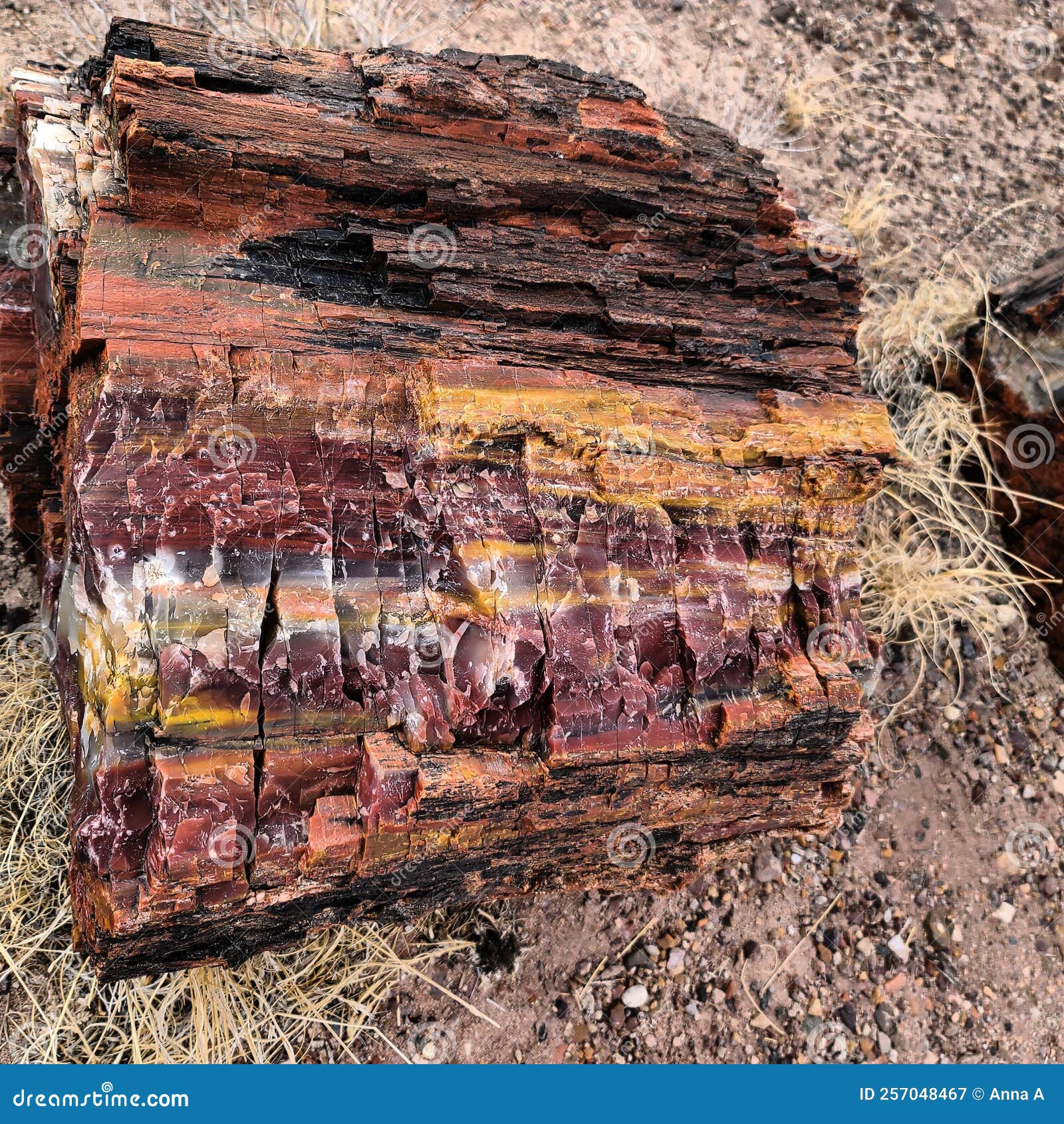 Wood And Rock Landscape In Bohemian Switzerland, Kammintz George Rocky ...