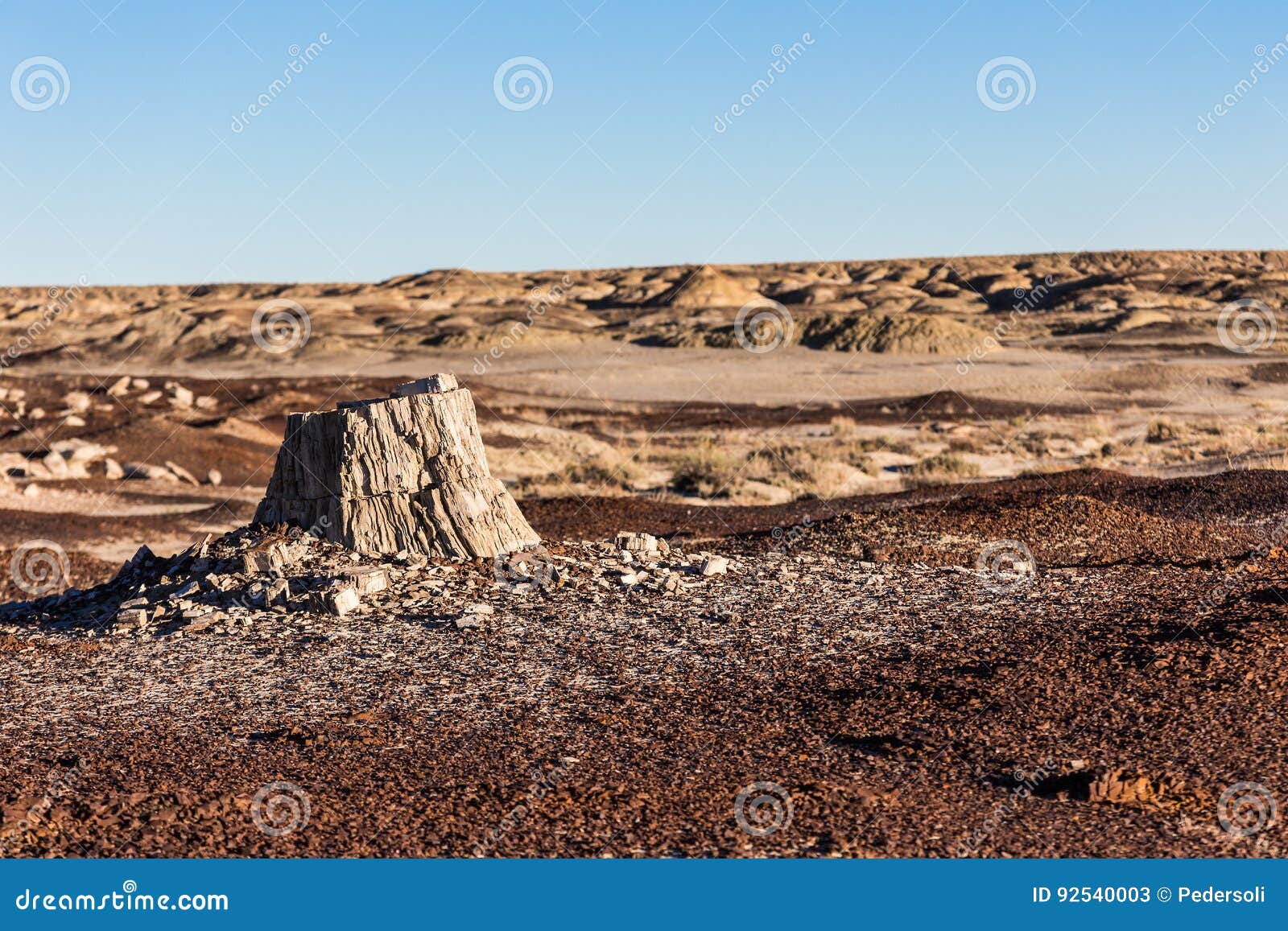 Petrified Wood, Tree Stump in the Desert, Climate Change, Global ...