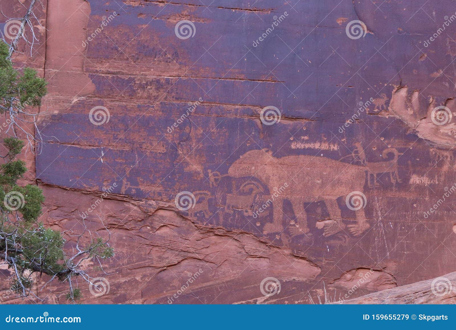 Petroglyph Bear in Moab stock image. Image of rocks - 159655279