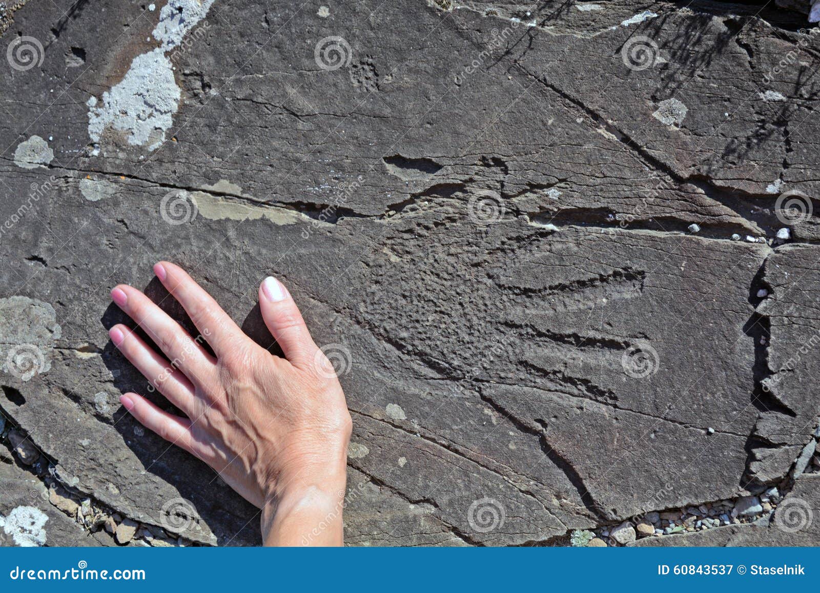 Petroglyph hand Altai stock image. Image of desert, direction - 60843537