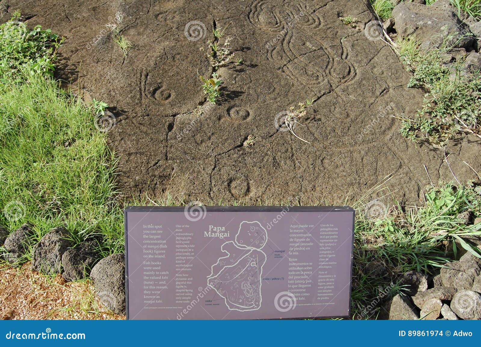 Petroglyphs - Easter Island Editorial Stock Image - Image of looking ...