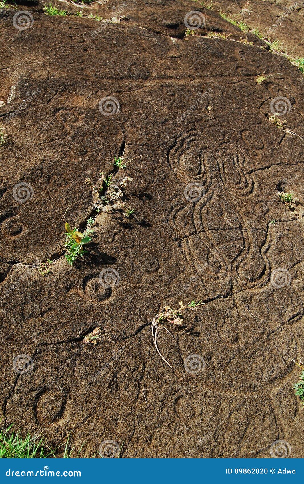 Petroglyphs - Easter Island Stock Photo - Image of ancient, rock: 89862020